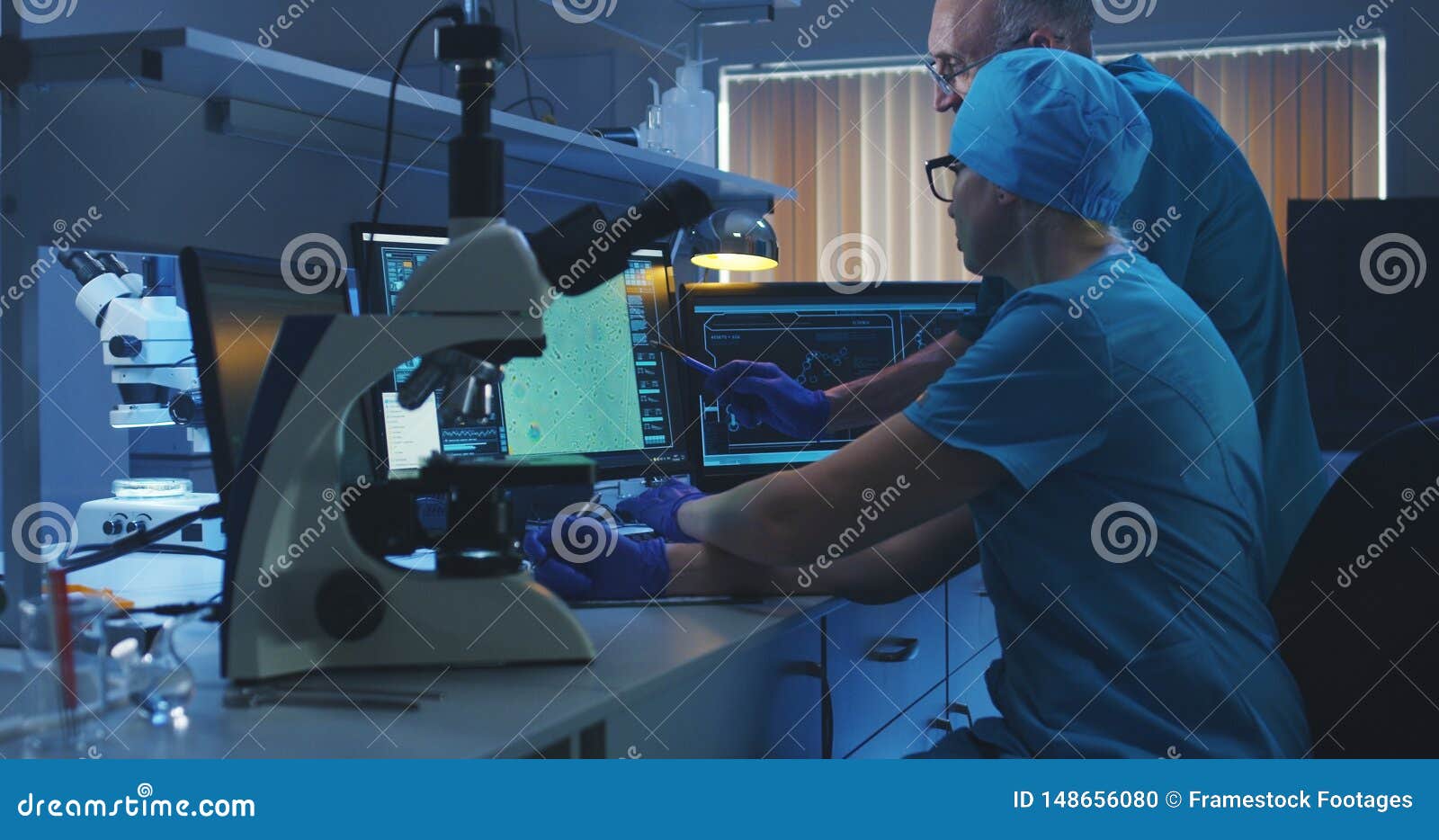 Scientists Examining Bacteria with Microscope Stock Photo - Image of ...