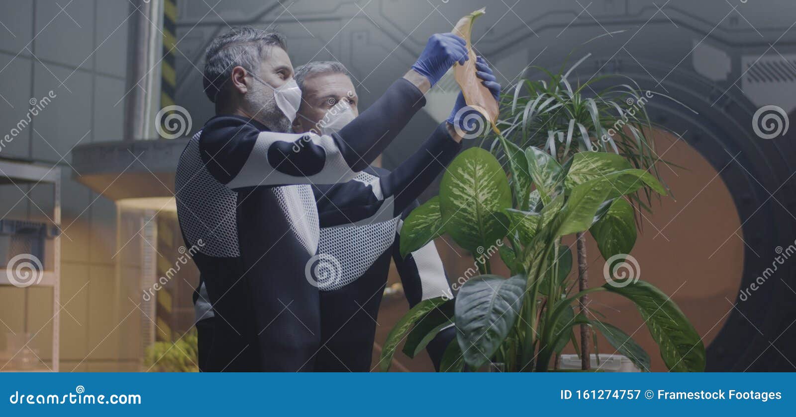 Scientists Examining Diseased Leaf on Mars Base Stock Image - Image of ...