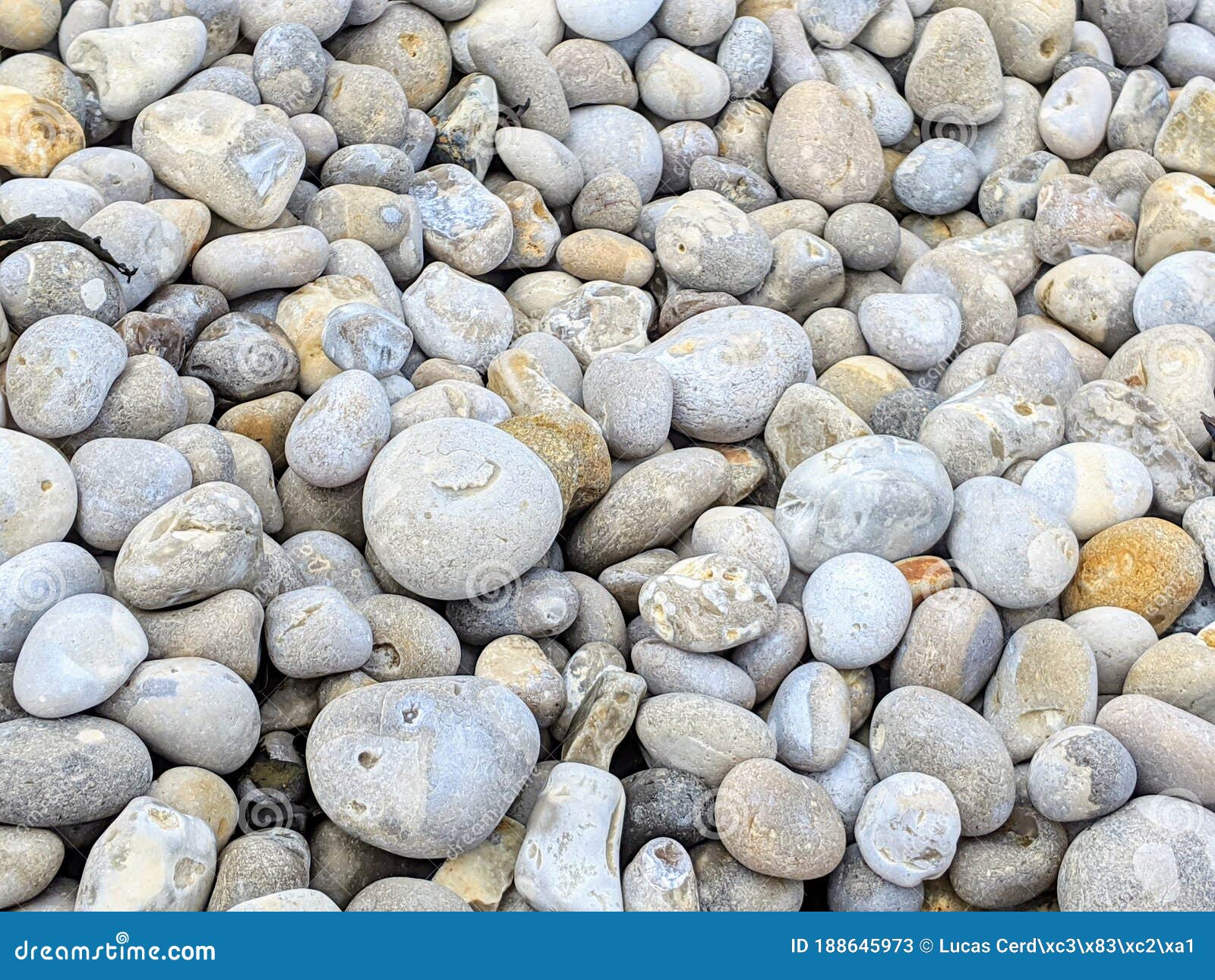 Medium Size Rock Beach Ground Texture Stock Image - Image of dehydrated ...