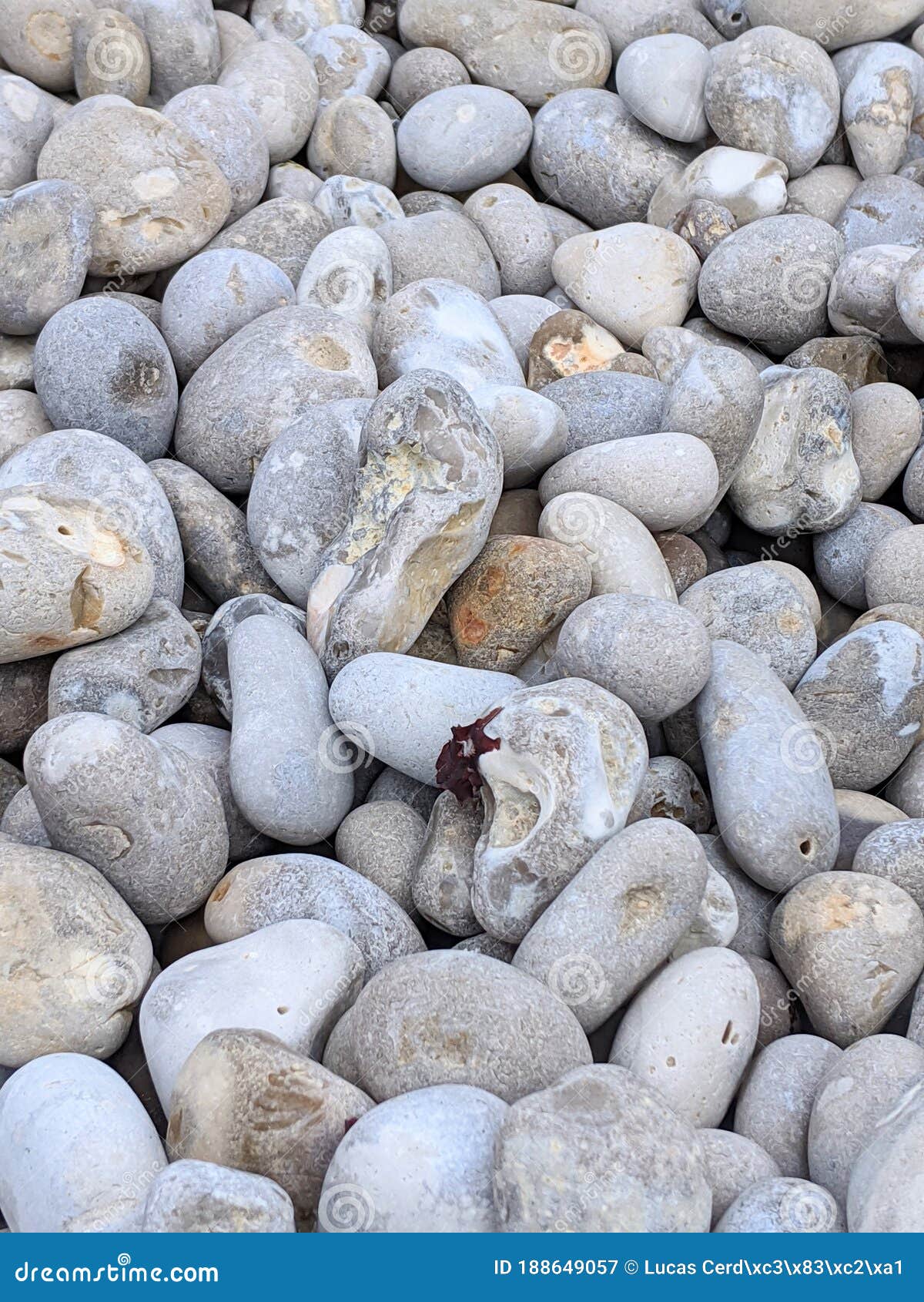 Medium Size Rock Beach Ground Texture Stock Image - Image of loam ...