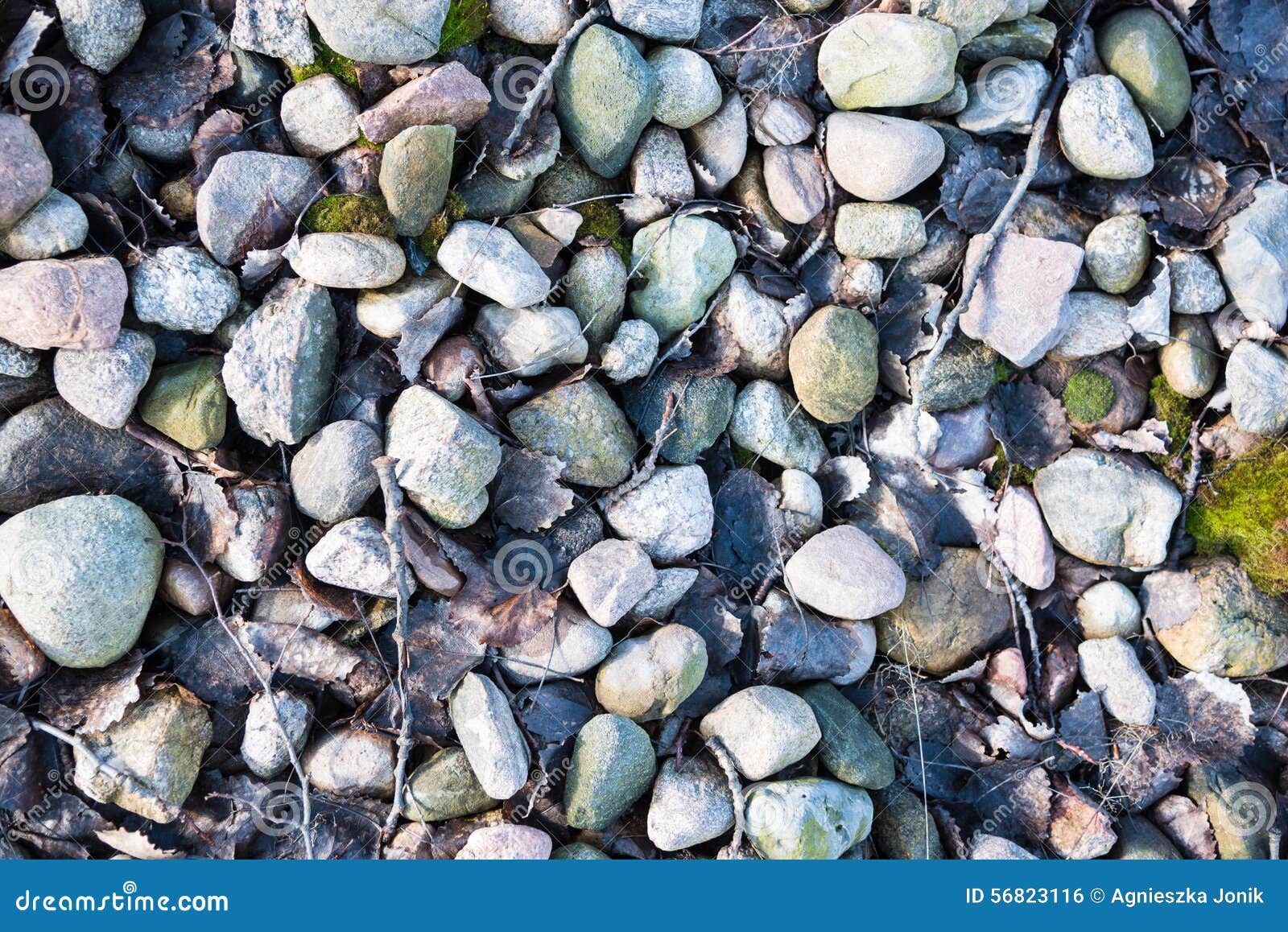 Medium size stones texture stock photo. Image of shapes - 56823116