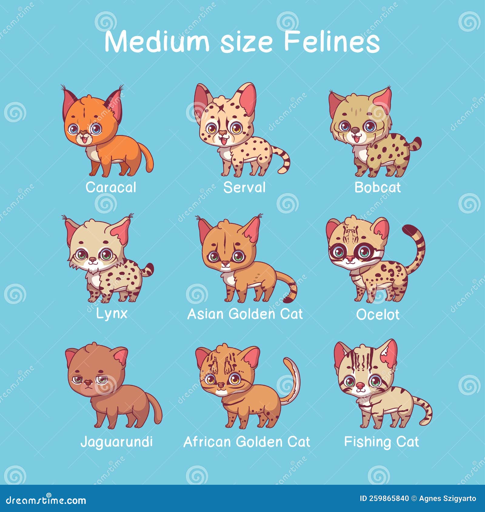 Medium Sized Feline Illustrations with Name Text Stock Vector ...