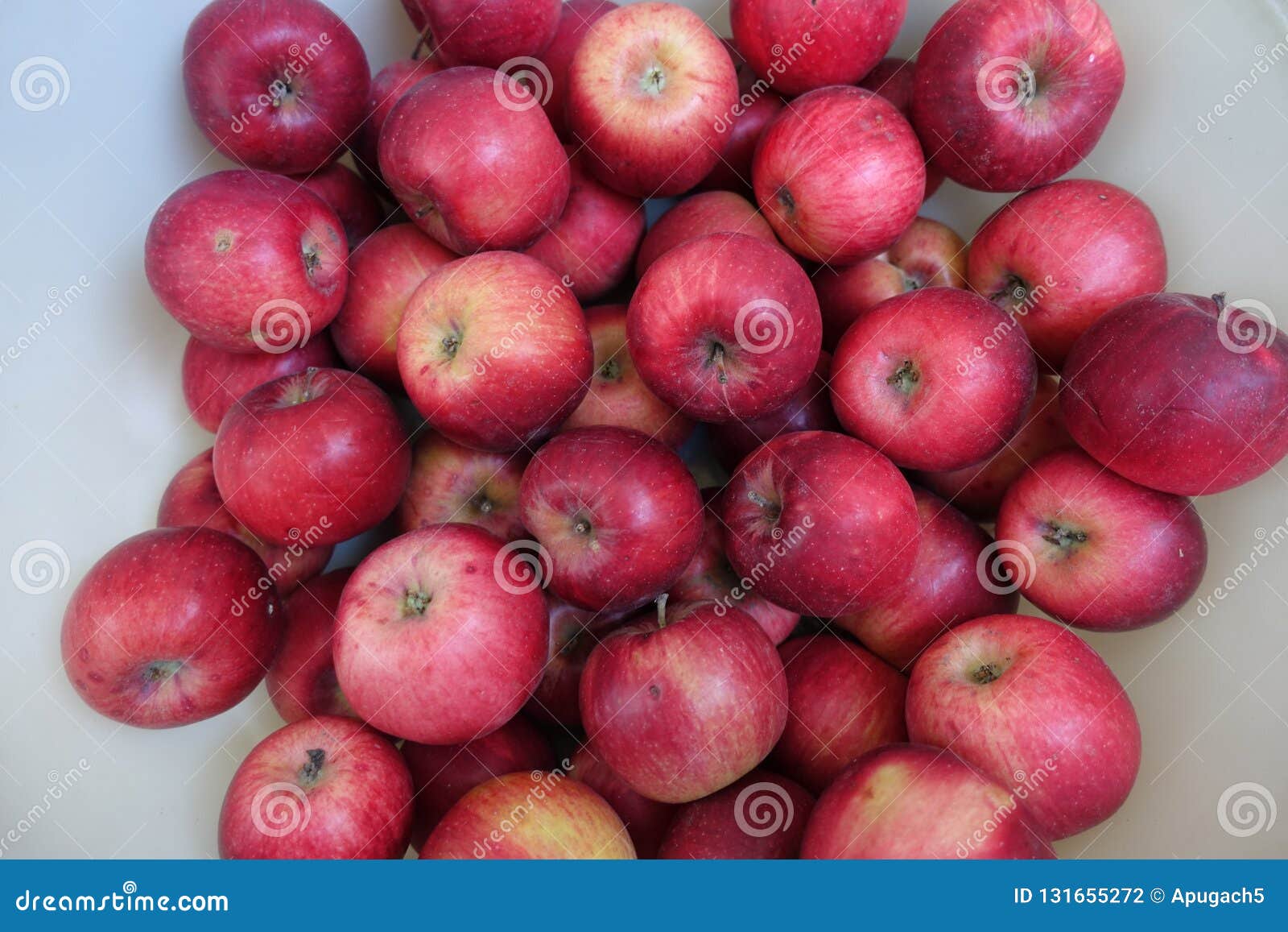 Medium-sized Ripe Red Apples in Autumn Stock Photo - Image of closeup ...