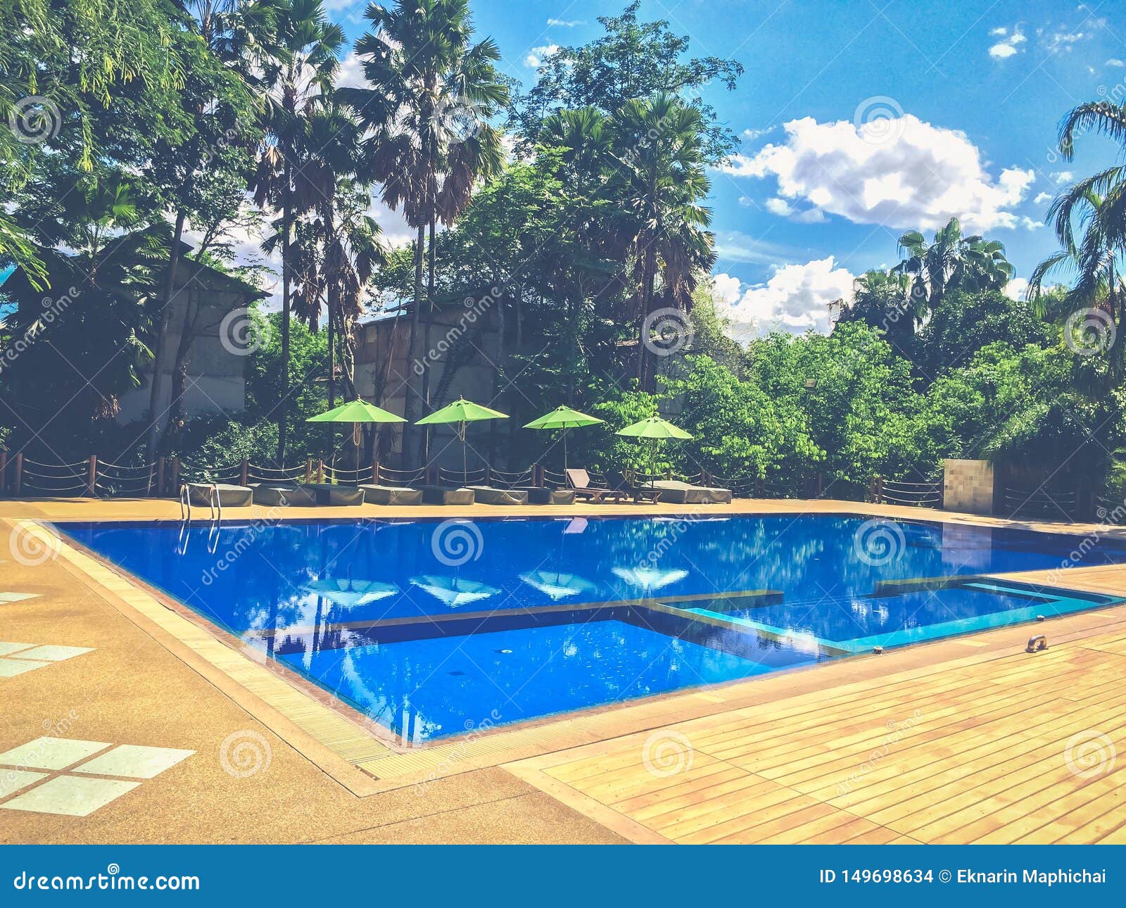 Medium sized swimming pool stock photo. Image of tree - 149698634