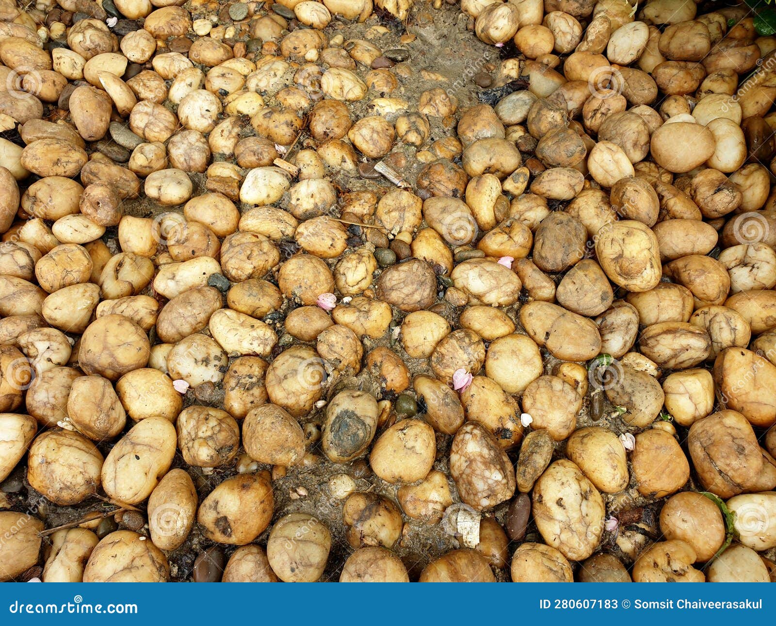 Medium Smooth Waterworn Pebbles Stones Stock Image - Image of outdoor ...