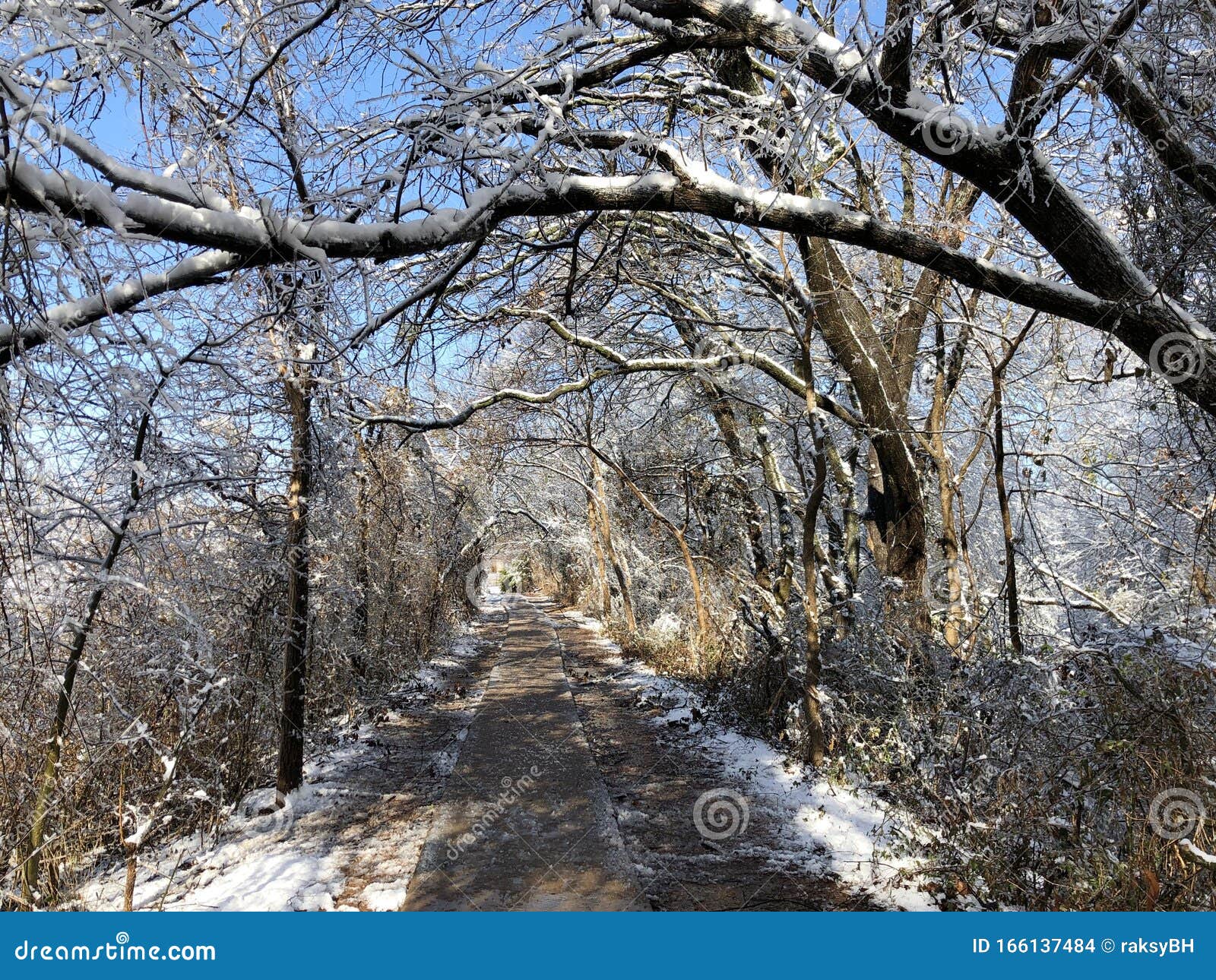 Jungle Shot with Snow Fast Melting into the Ground from the Trees Stock ...