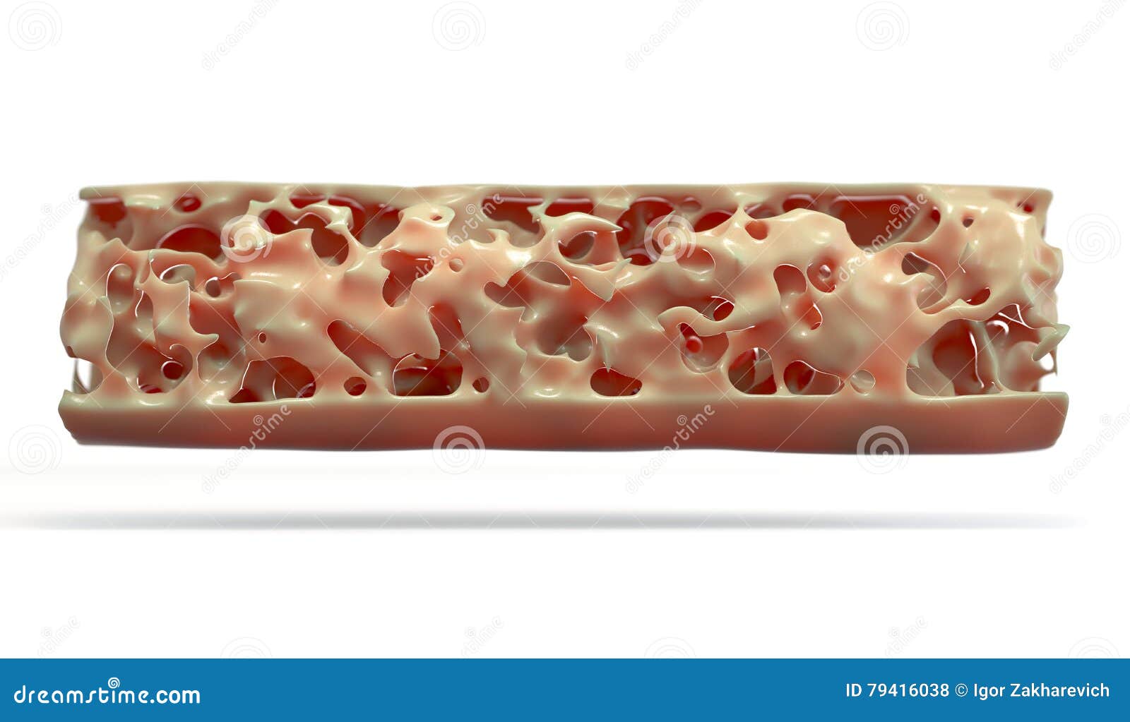 Medizinische Illustration Der Knochenstruktur Stock Abbildung ...