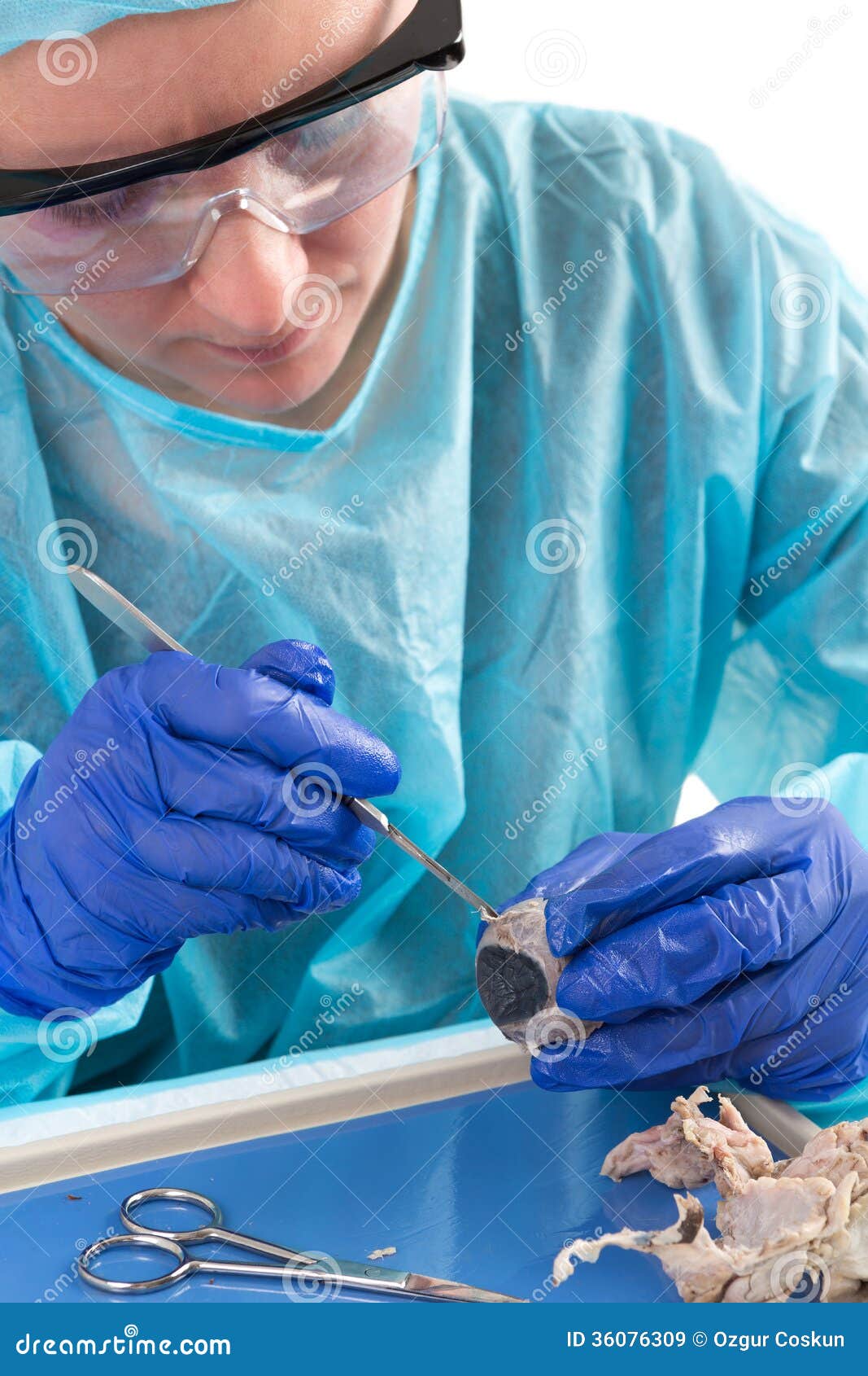 Medizinischer Technologe, Der Eine Gewebeprobe Schneidet Stockbild ...