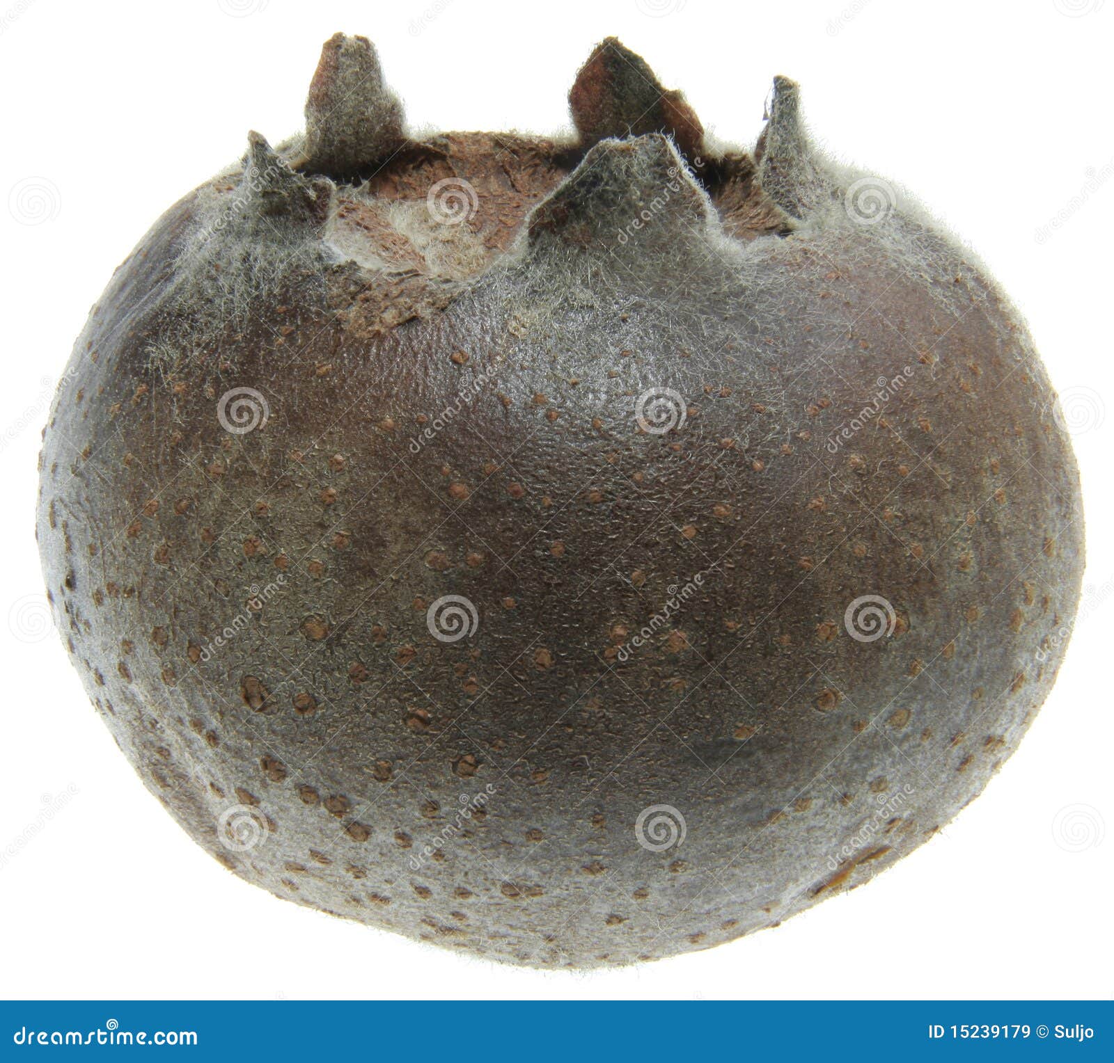 Medlar stock image. Image of sweet, diet, food, dessert - 15239179