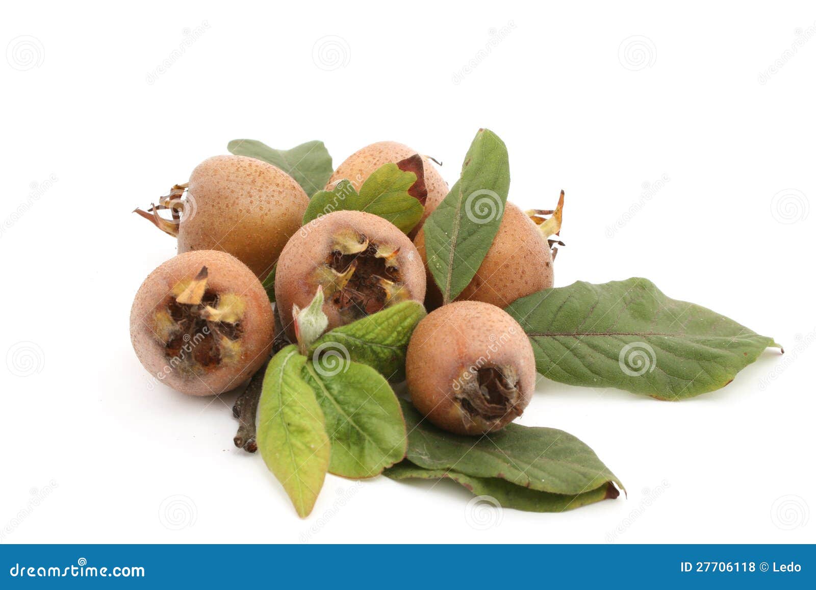Medlar stock photo. Image of leafs, leaf, food, fruit - 27706118