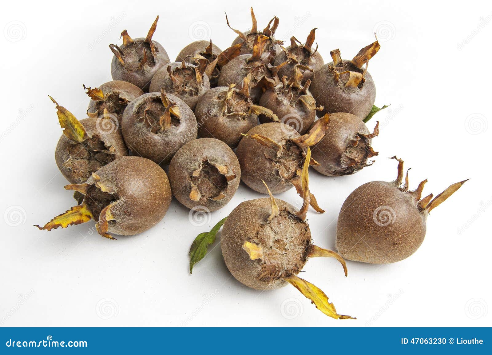 Medlars isolated stock photo. Image of open, isolated - 47063230
