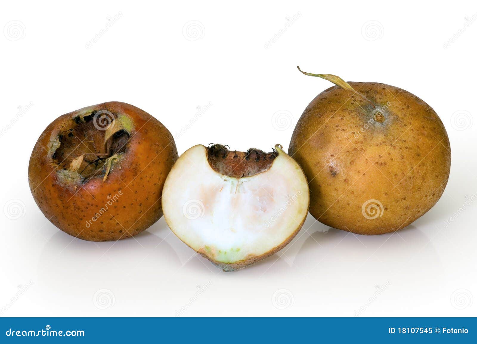 MEDLAR or MISPEL (MESPILUS GERMANICA) Stock Image - Image of food, path ...