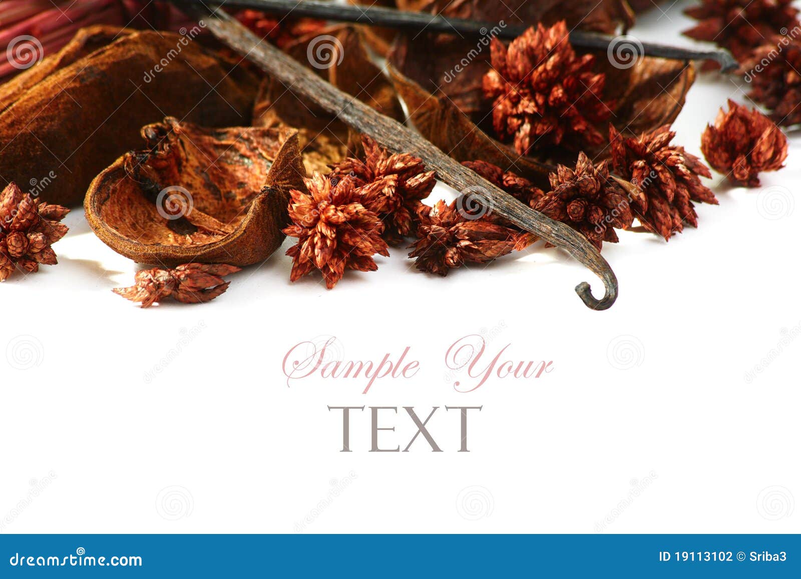 Medley of Fragrant Dried Herbs and Spices. Stock Photo - Image of ...