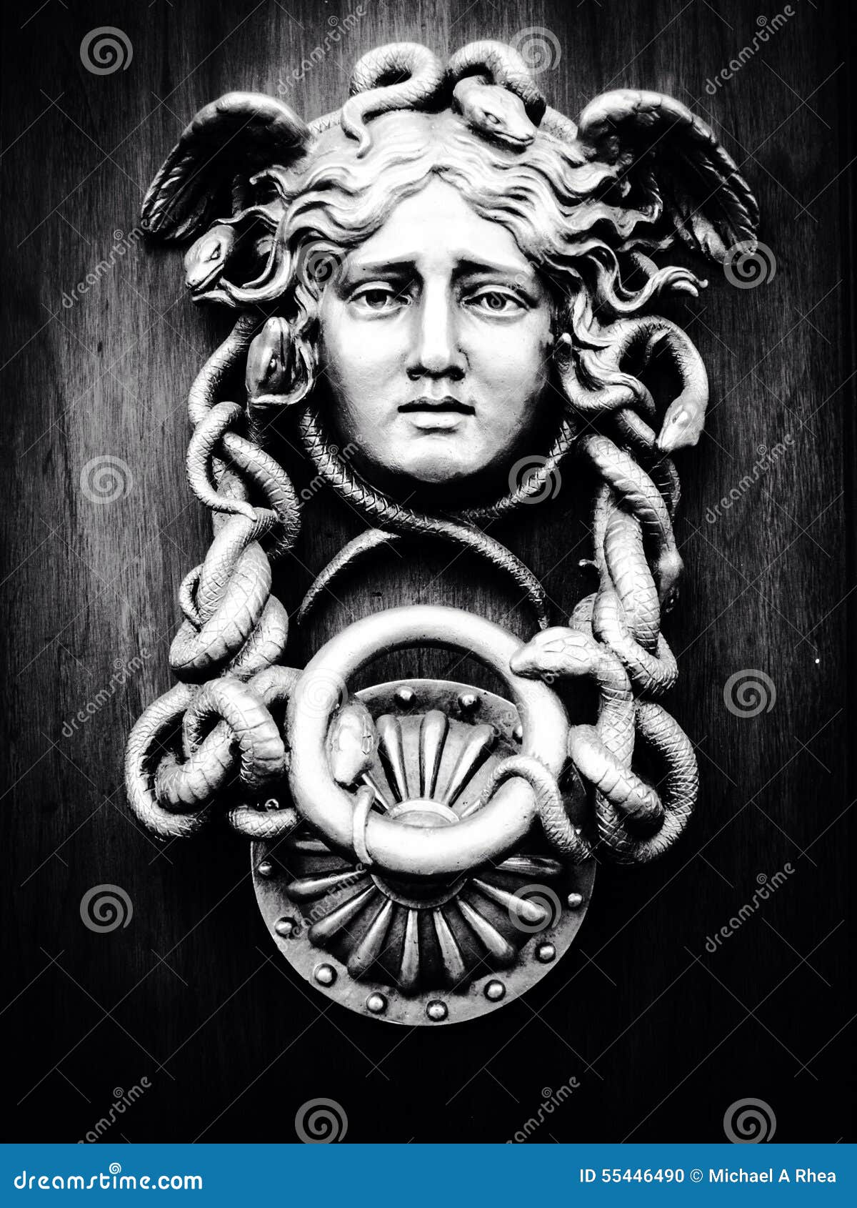 Medusa stock photo. Image of face, goddess, medusa, snakes - 55446490