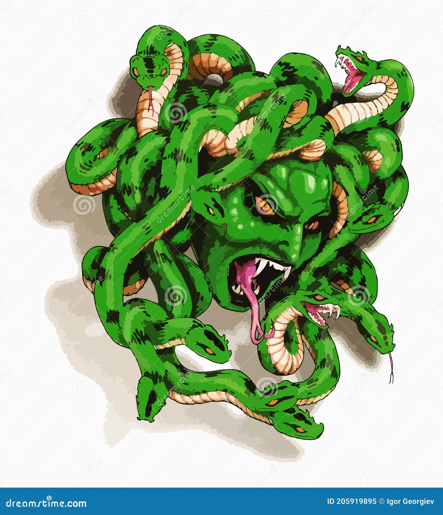 Medusa Gorgo, A Mythological Monster Killed By The Hero Perseus In ...