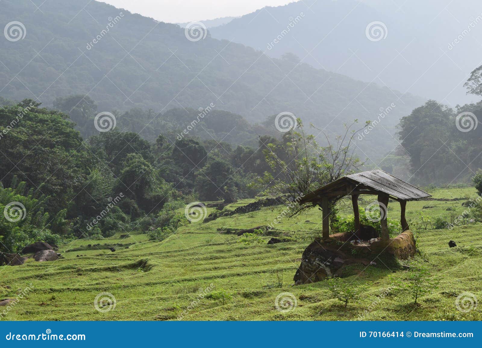 Mimure Stock Photos - Free & Royalty-Free Stock Photos from Dreamstime