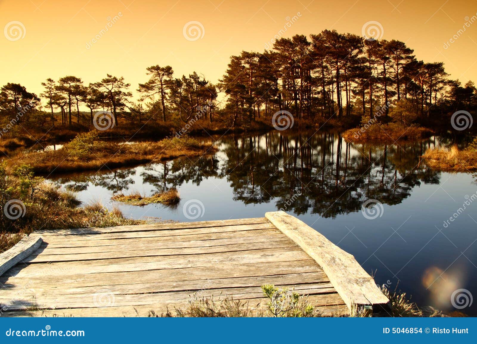 Meer in een moeras stock foto. Image of sprong, eiland - 5046854
