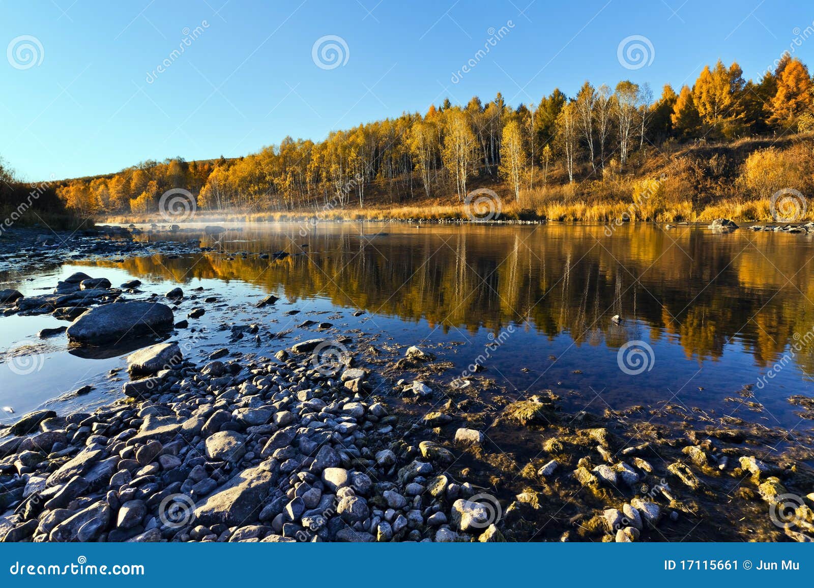 Meer en bos stock afbeelding. Image of vreedzaam, reflect - 17115661