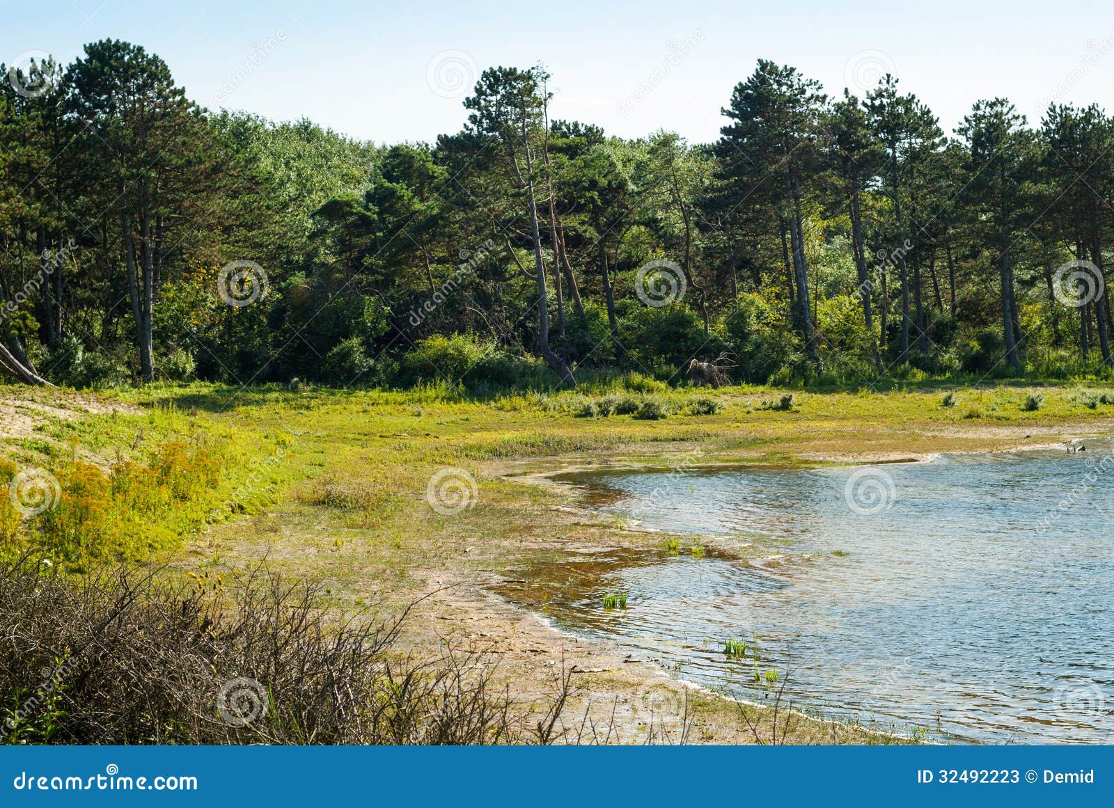 Meer en bos in duinen stock afbeelding. Image of water - 32492223
