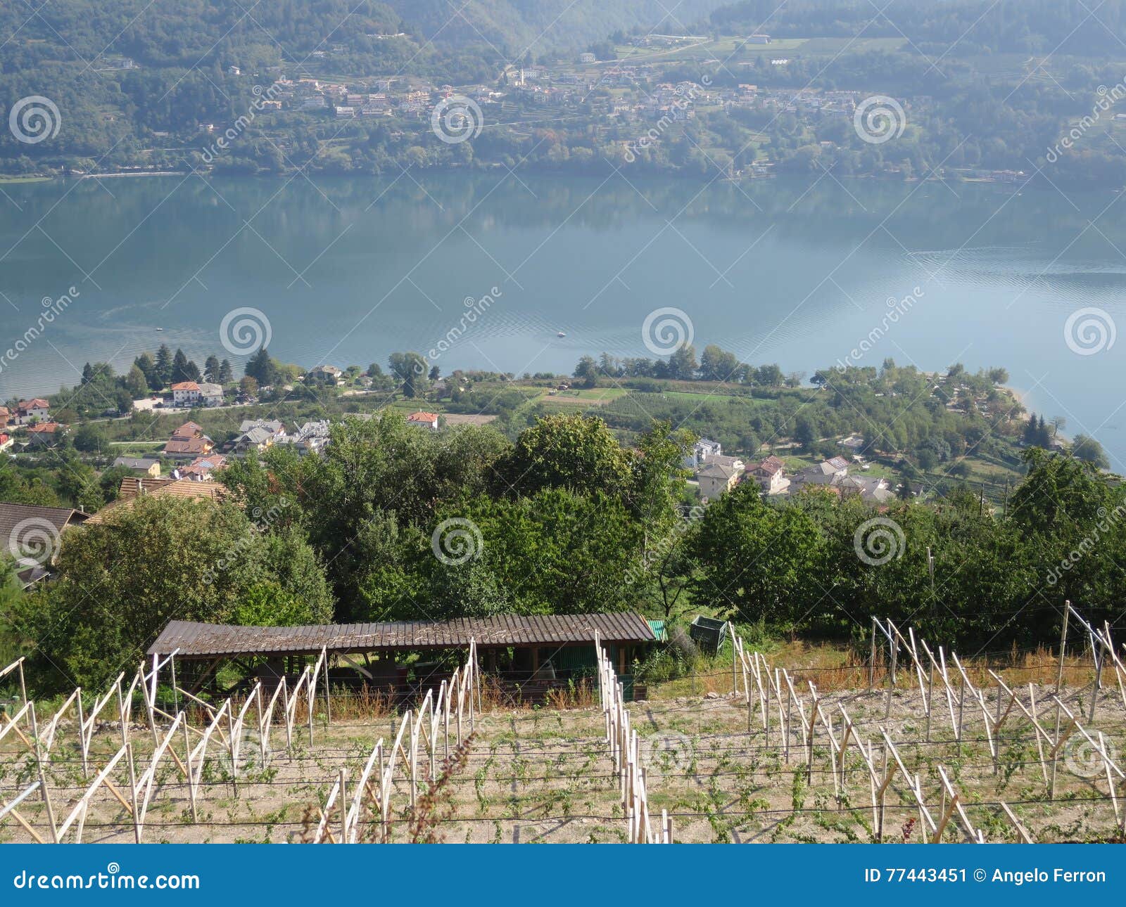 Meer Levico Caldonazzo Trentino Stock Afbeelding - Image of landbouw ...