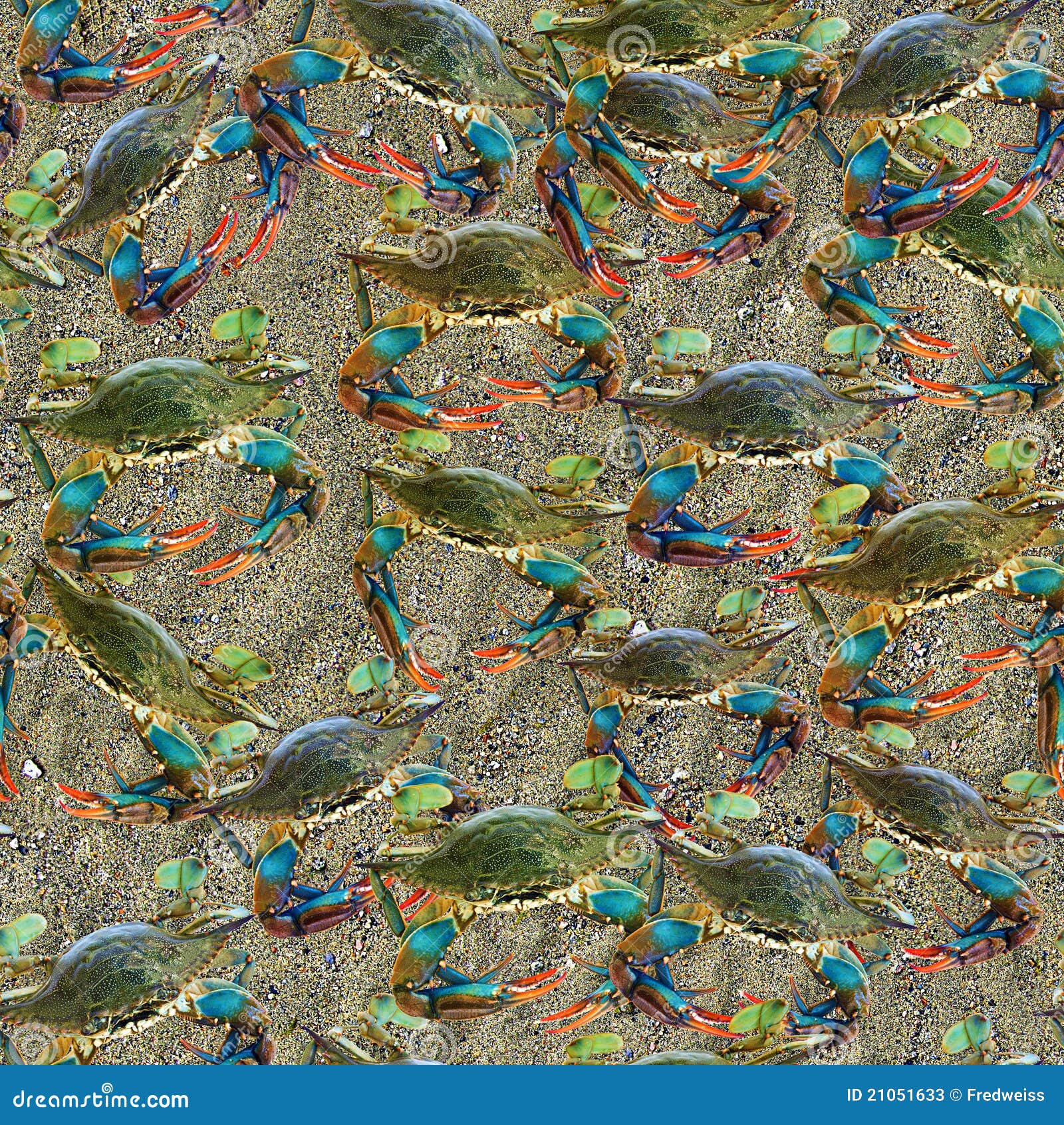 Meeresboden stockbild. Bild von unterseite, fotographisch - 21051633