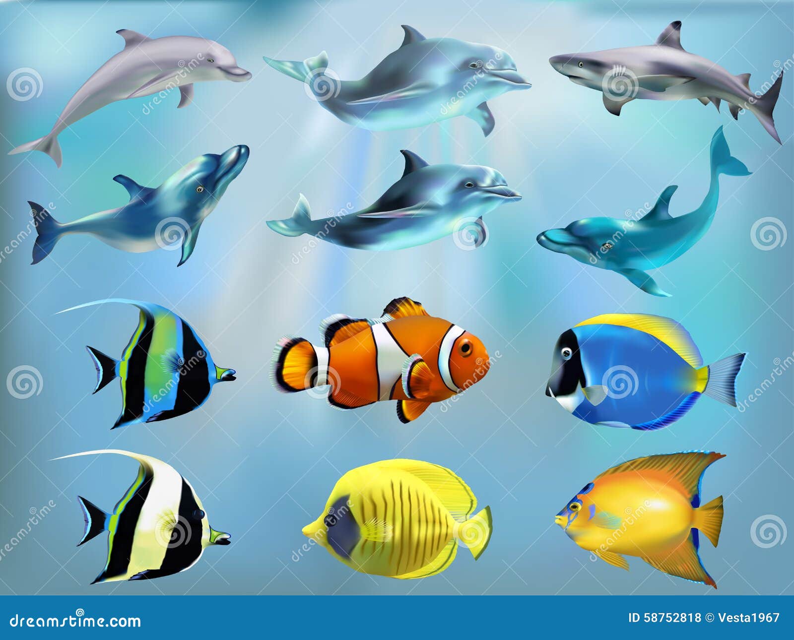 Meeresfisch im Satz vektor abbildung. Illustration von fische - 58752818