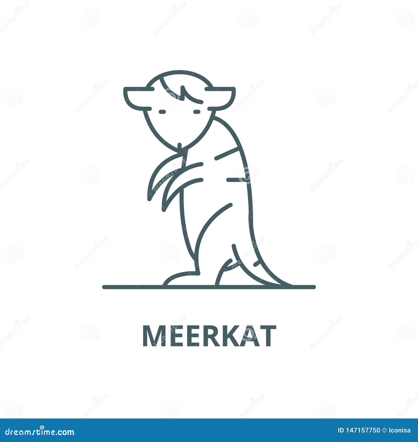 Mongoose Linear Icon. Modern Outline Mongoose Logo Concept On Wh ...