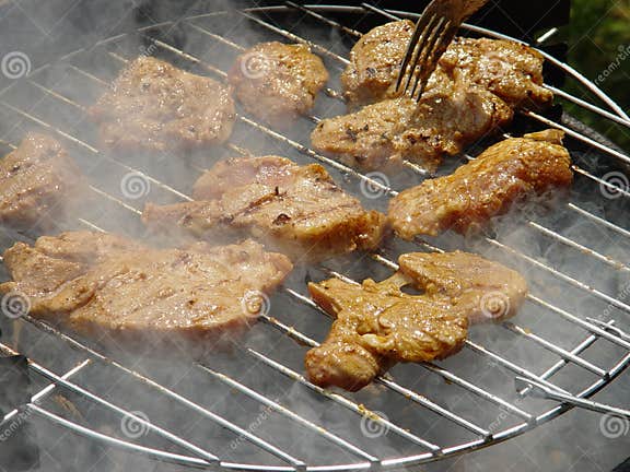 Meet & grill stock photo. Image of beef, cooking - 12969472