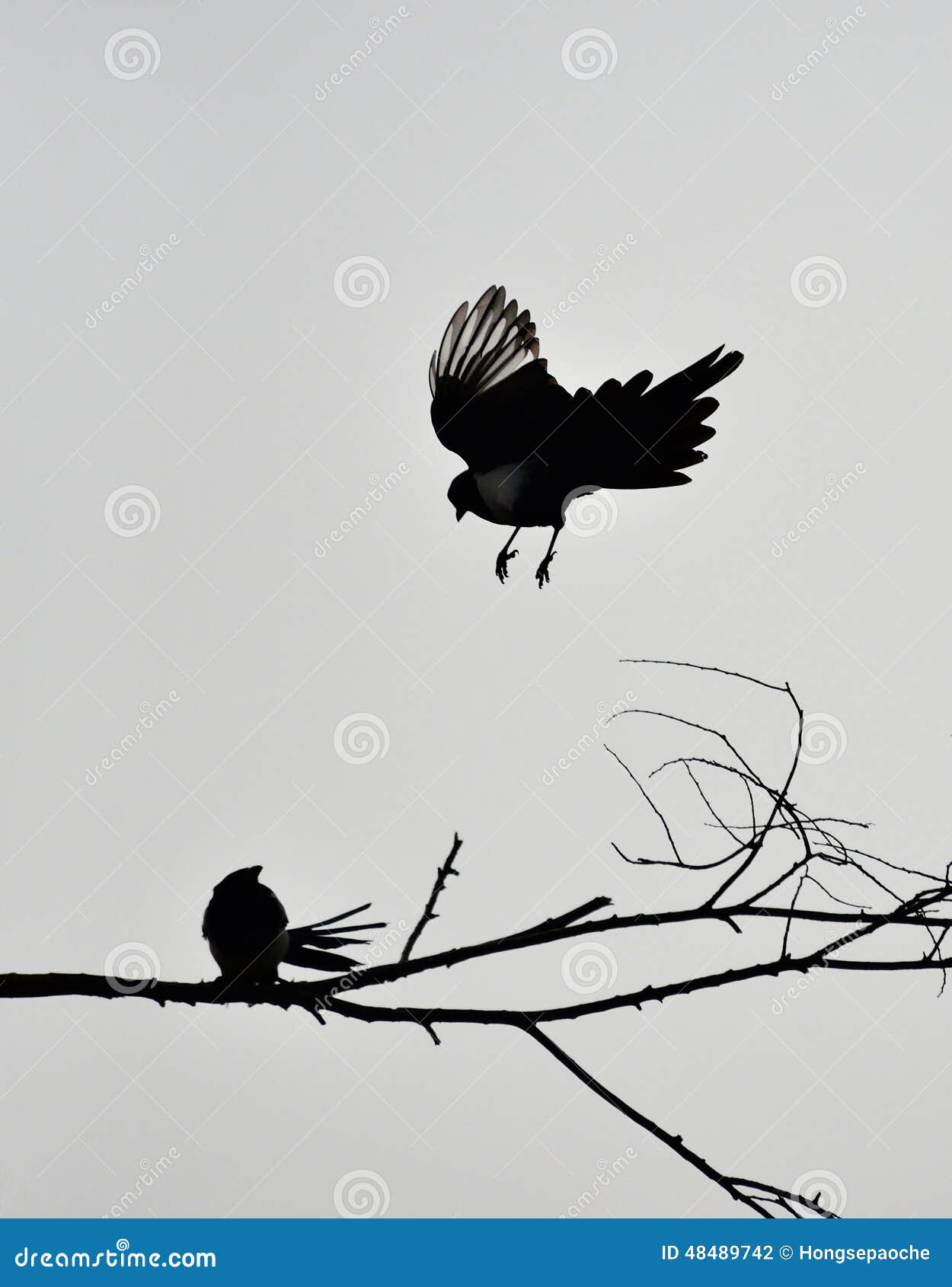 Meet stock photo. Image of information, meet, traveling - 48489742