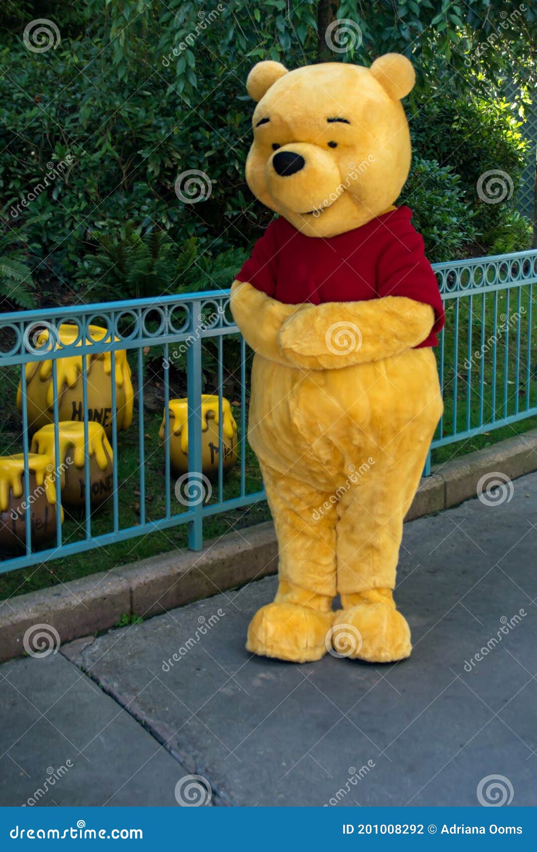 Meet With Winnie The Pooh Editorial Image | CartoonDealer.com #201008360