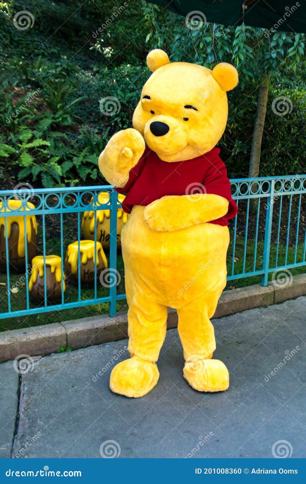 Meet With Winnie The Pooh Editorial Image | CartoonDealer.com #201008360