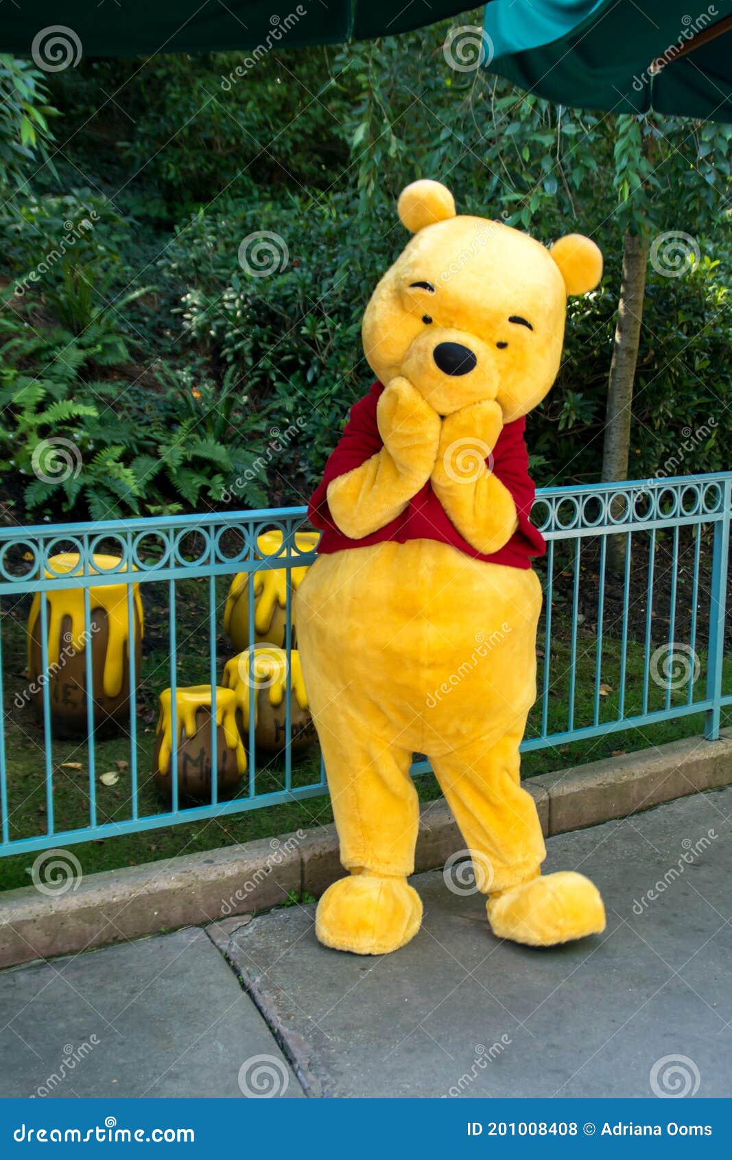 Meet With Winnie The Pooh Editorial Image | CartoonDealer.com #201008360