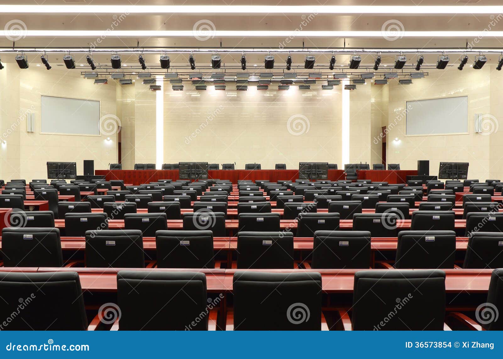 Meeting Hall stock photo. Image of company, fish, conference - 36573854