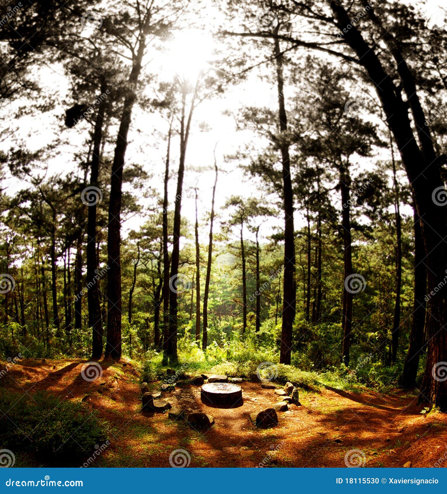 Meeting Place stock photo. Image of meet, woods, mountains - 18115530