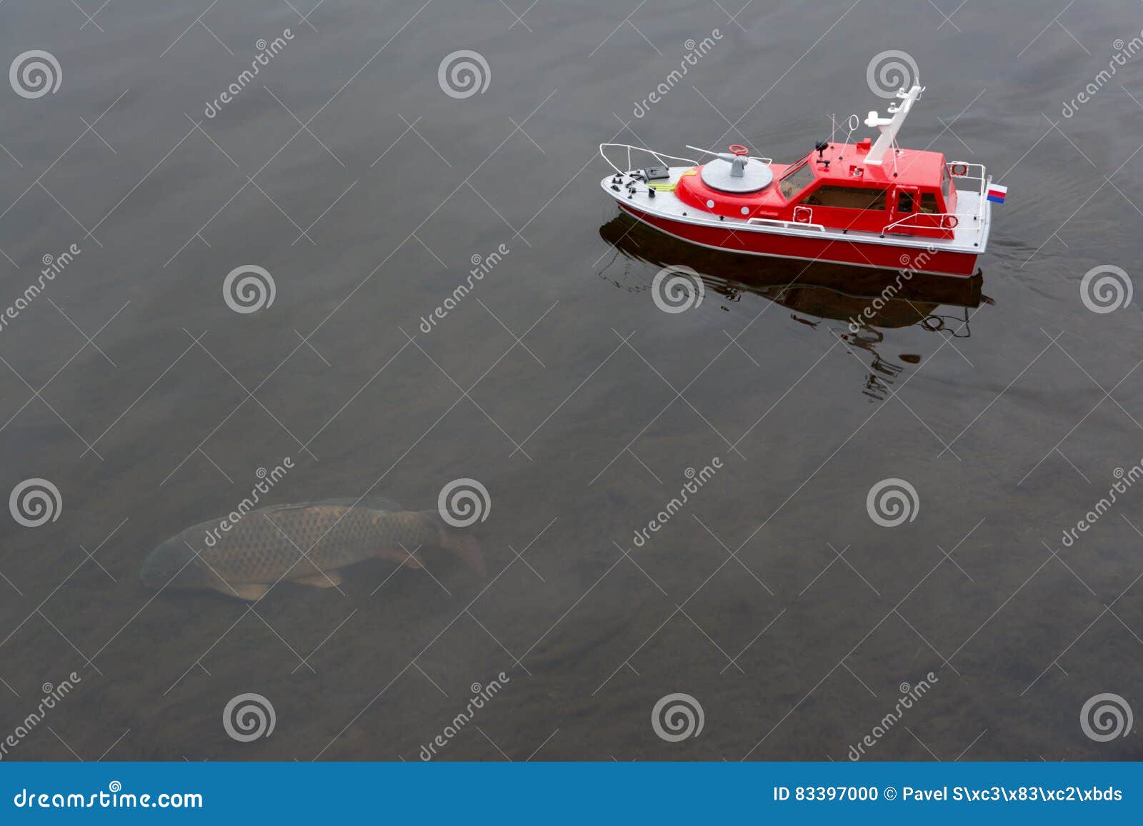 Meeting of Ship Model and a Carp Stock Photo - Image of remote, control ...