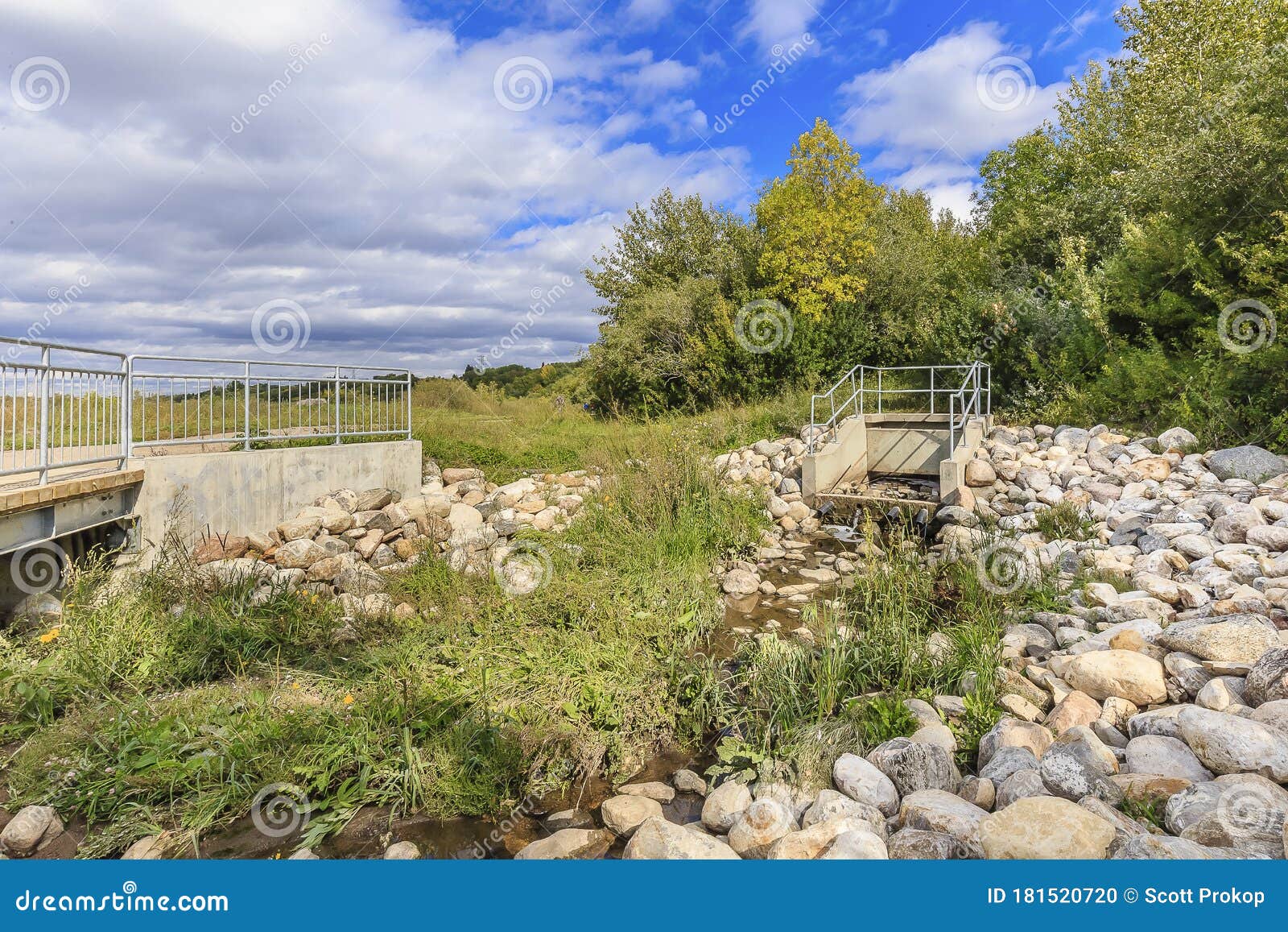 Meewasin Trail stock photo. Image of grass, green, saskatoon - 181520720