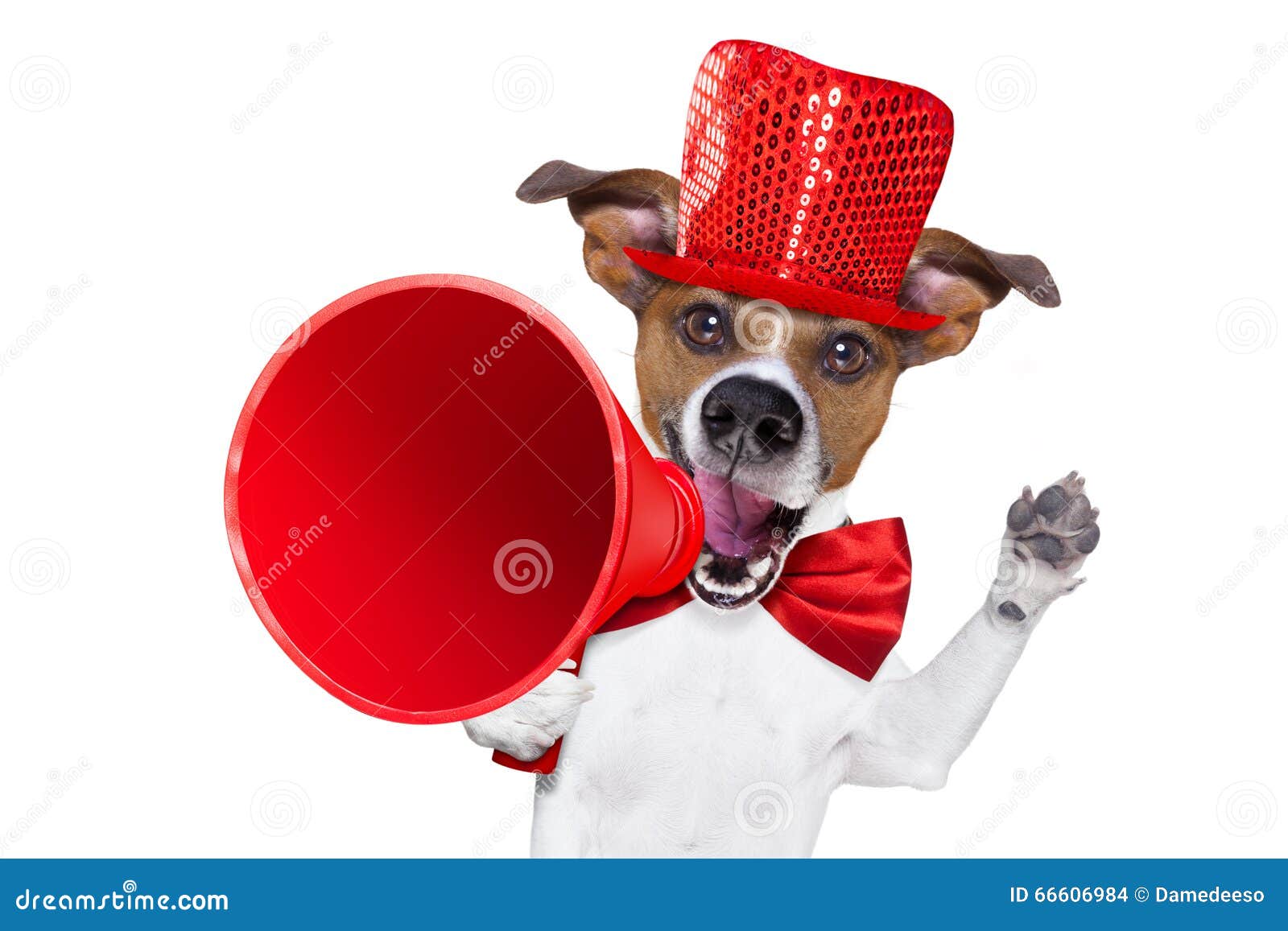 12 Megáfono Del Perro Fotos - Libres de Derechos y Gratuitas de Dreamstime