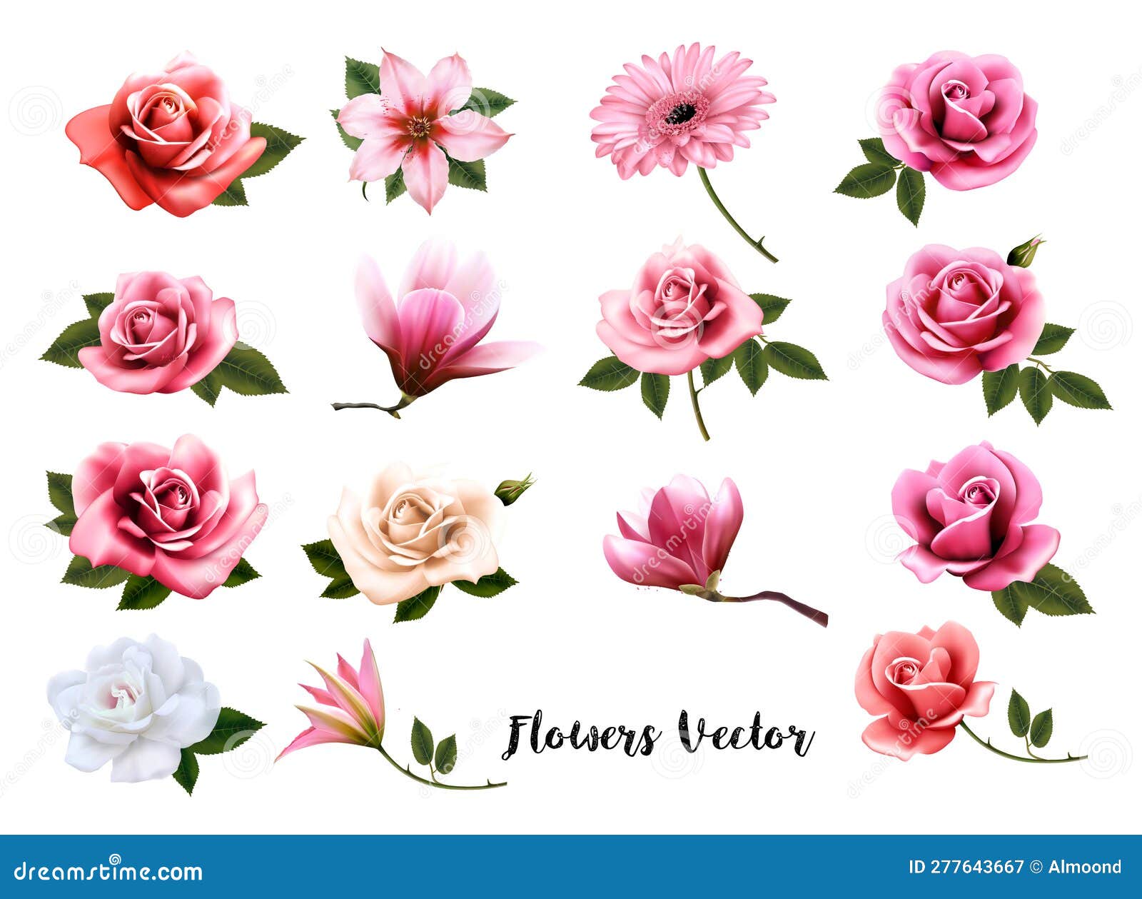 Mega Collection of Colorfuf Fresh Flowers - Roses, Magnolia, Lilies ...