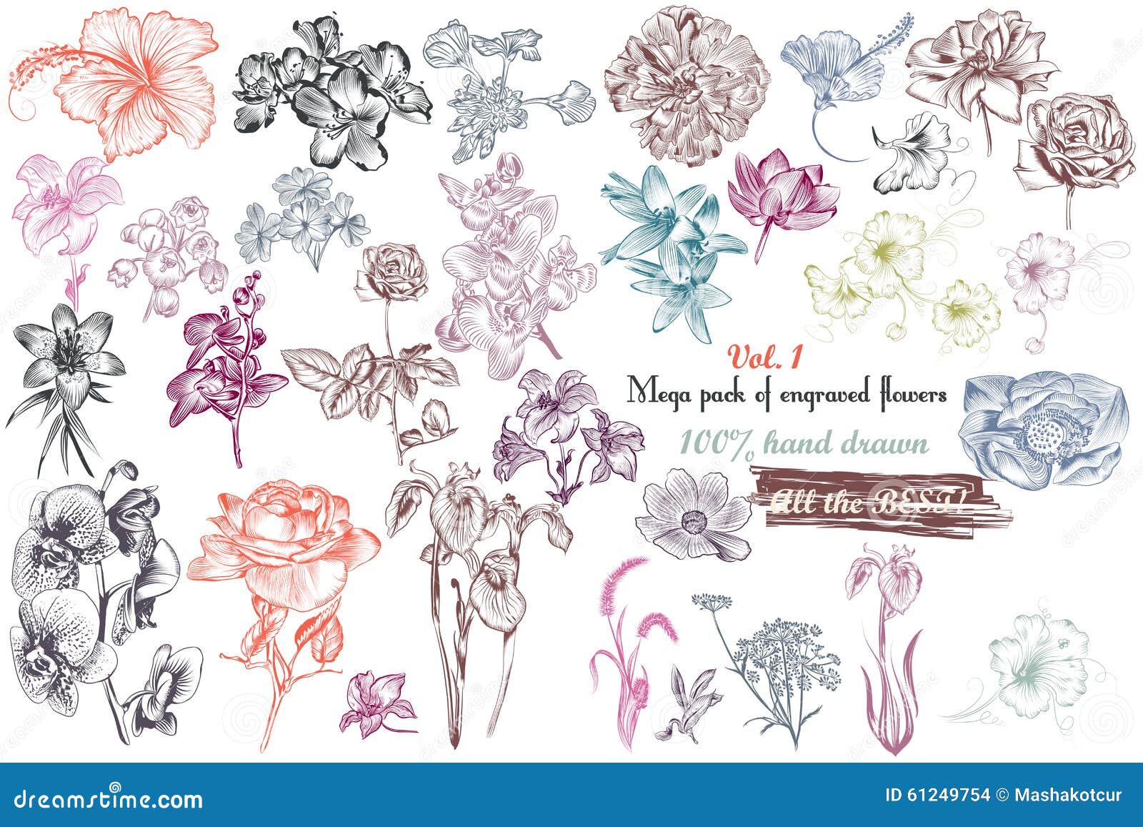 Mega Collection of High Detailed Vector Flowers for Design Stock Vector ...