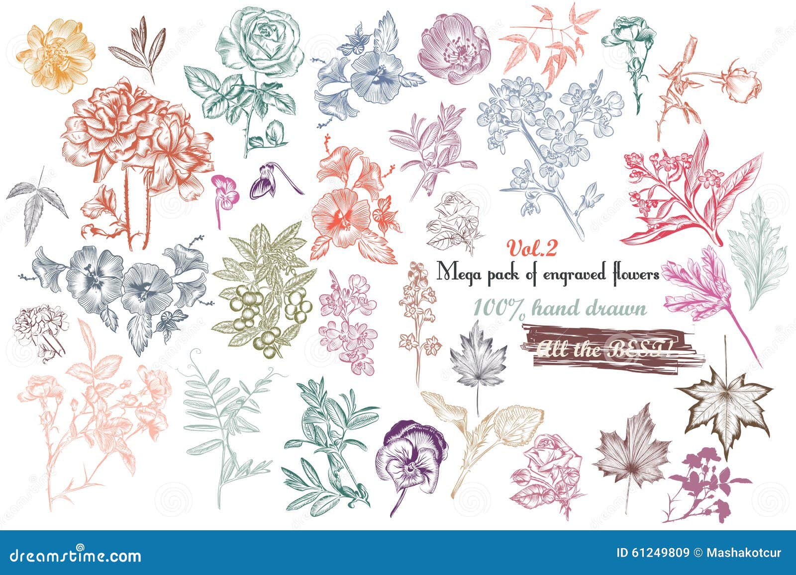 Mega Collection of High Detailed Vector Flowers for Design Stock Vector ...