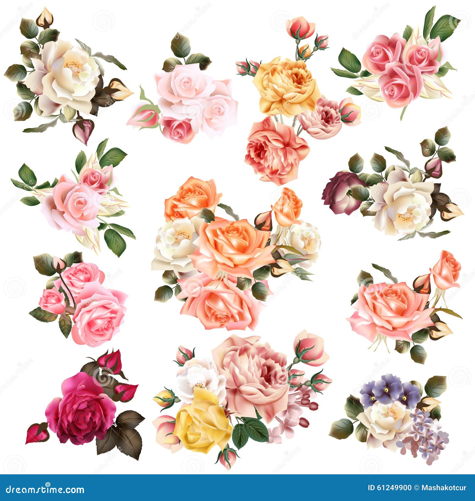 Mega Collection of High Detailed Vector Flowers for Design Stock Vector ...