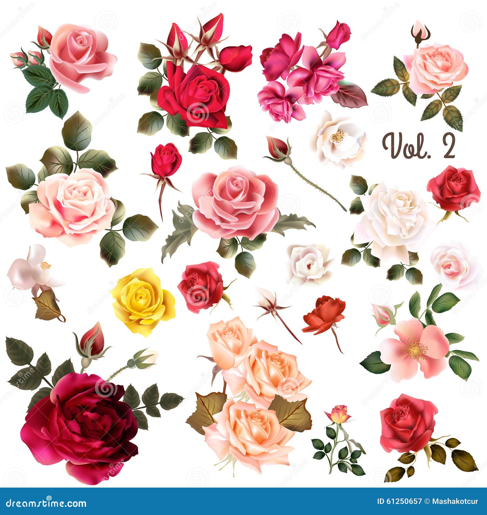 Mega Collection of High Detailed Vector Flowers for Design Stock Vector ...