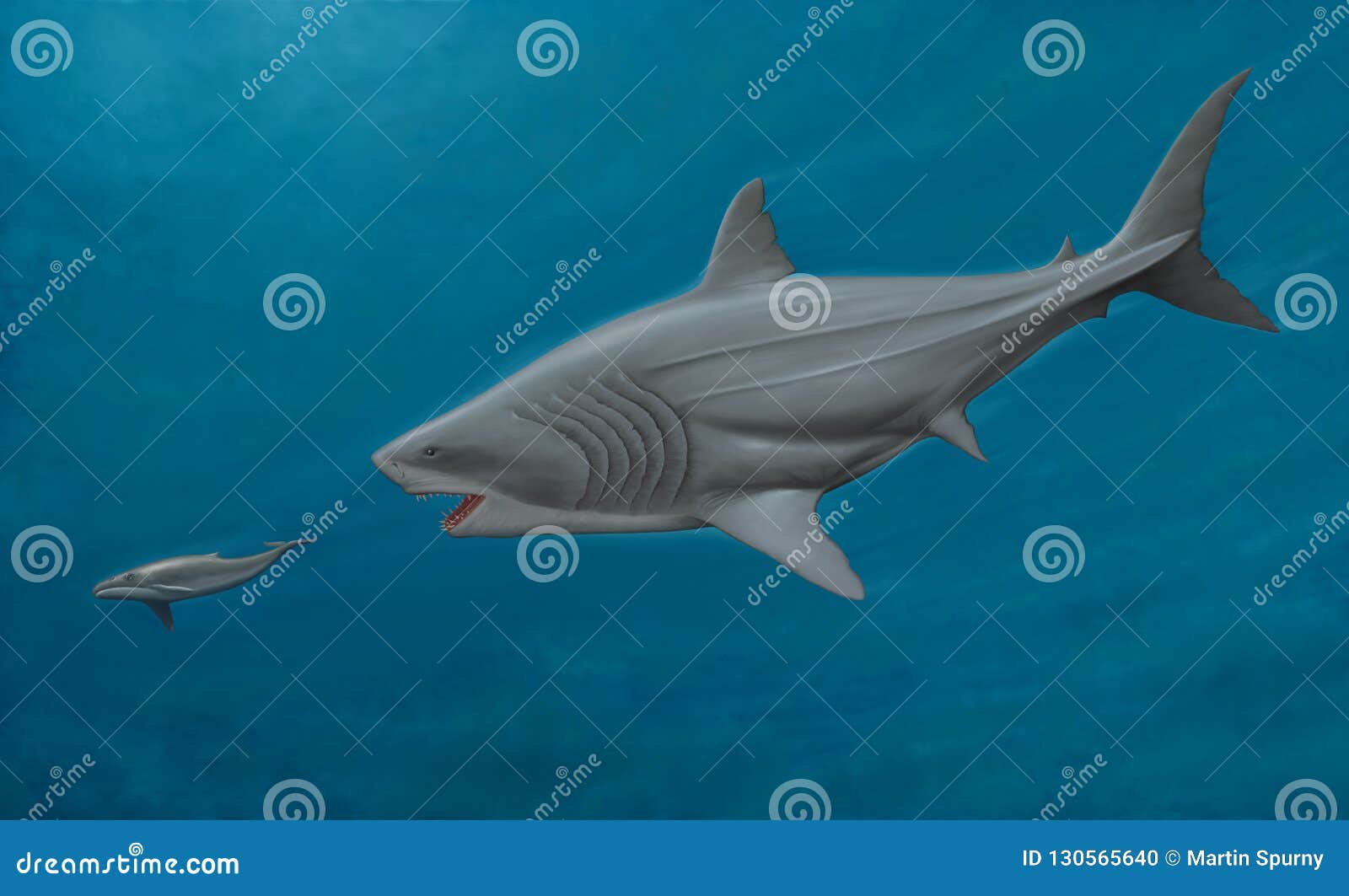 Megalodon Side Profile Royalty-Free Stock Image | CartoonDealer.com ...
