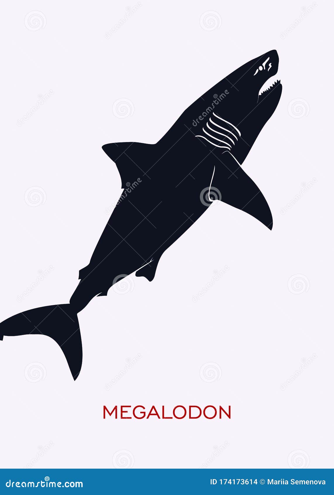 Megalodon. stock vector. Illustration of chordata, concept - 174173614