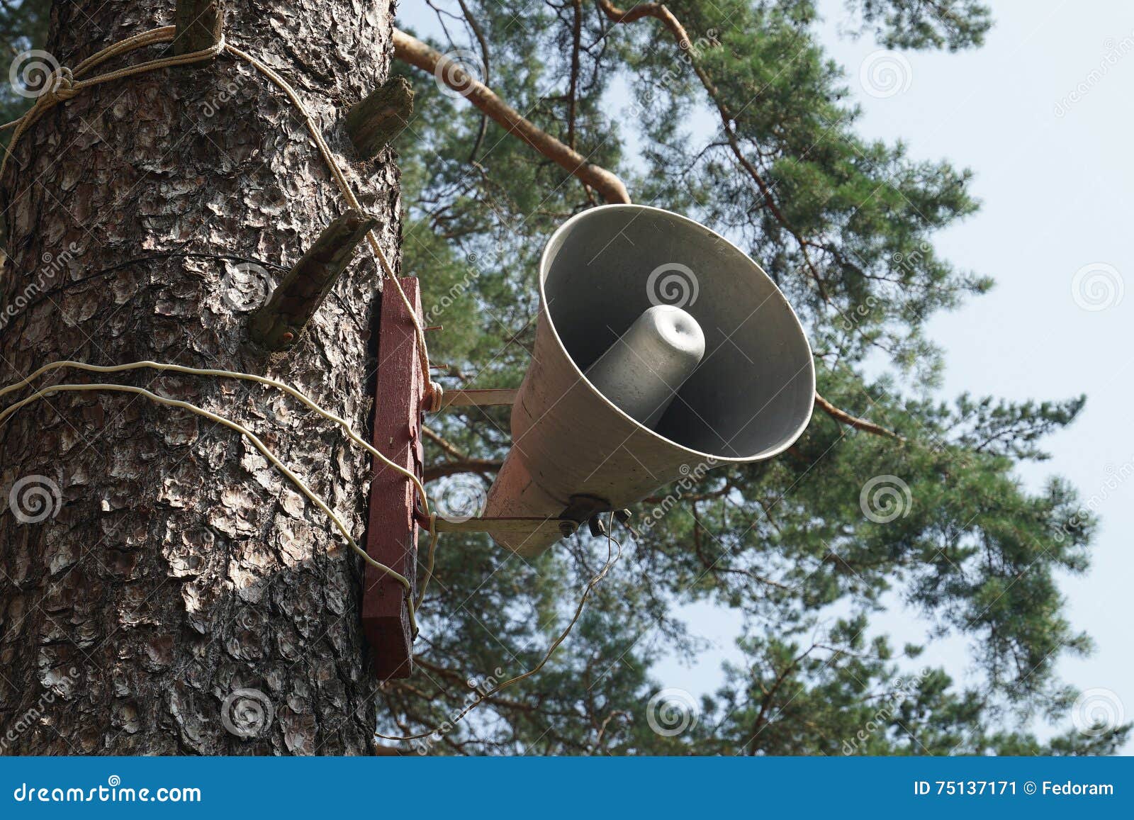 Megaphone stock image. Image of speak, loudspeaker, megaphone - 75137171