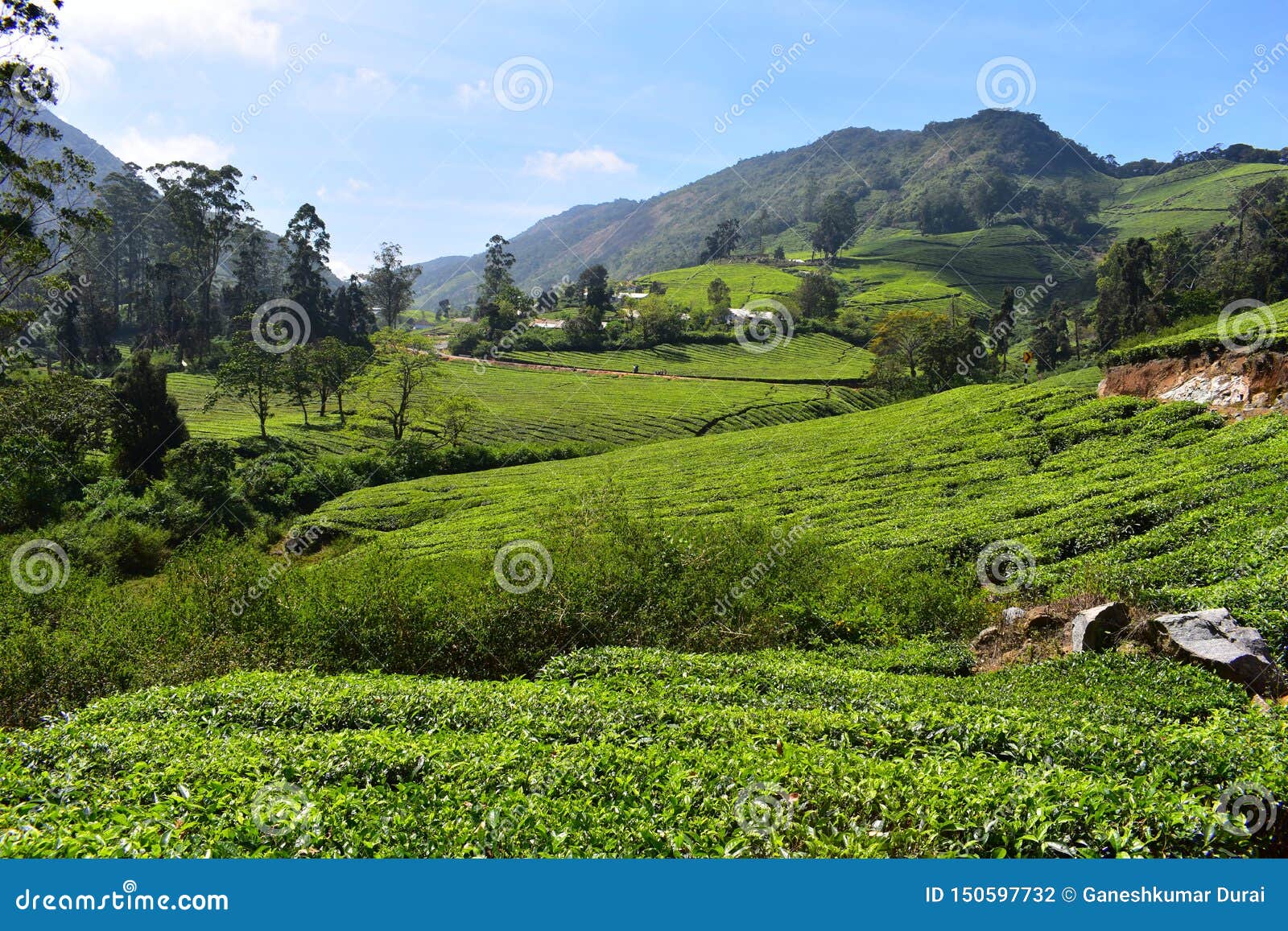 Meghamalai High Wavy Mountains - the Hidden Paradise Stock Photo ...