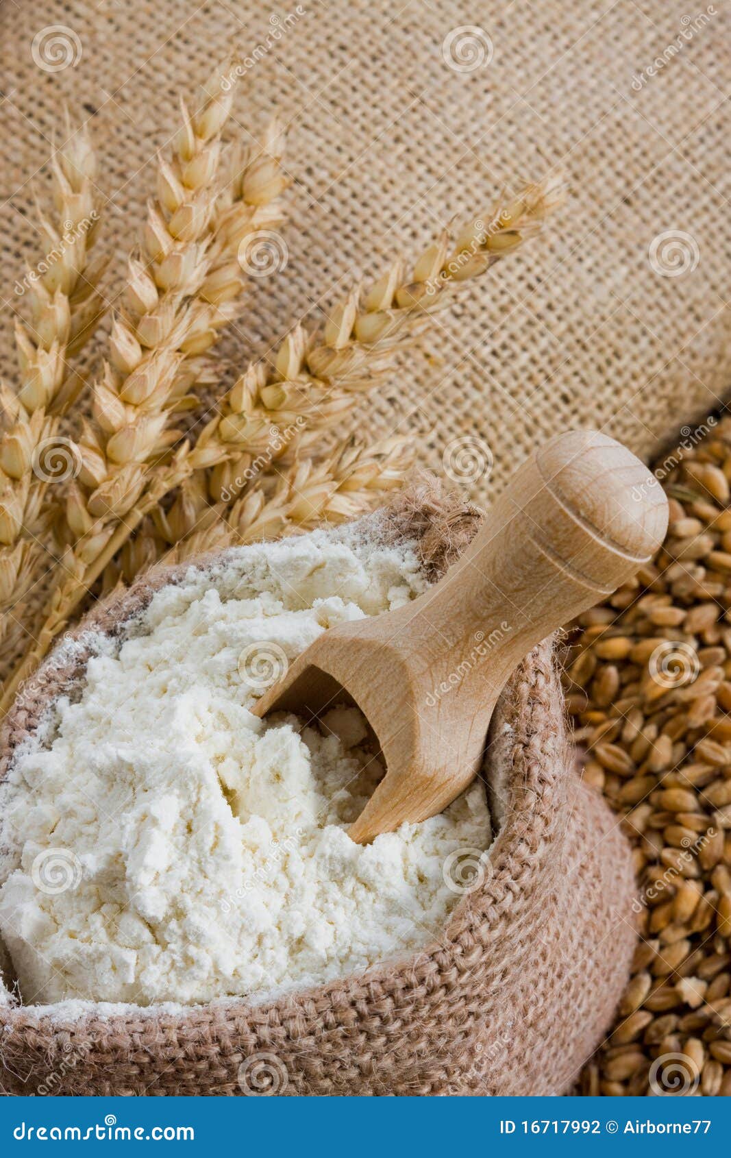 Mehl stockfoto. Bild von getreide, gold, farbe, jutefaser - 16717992