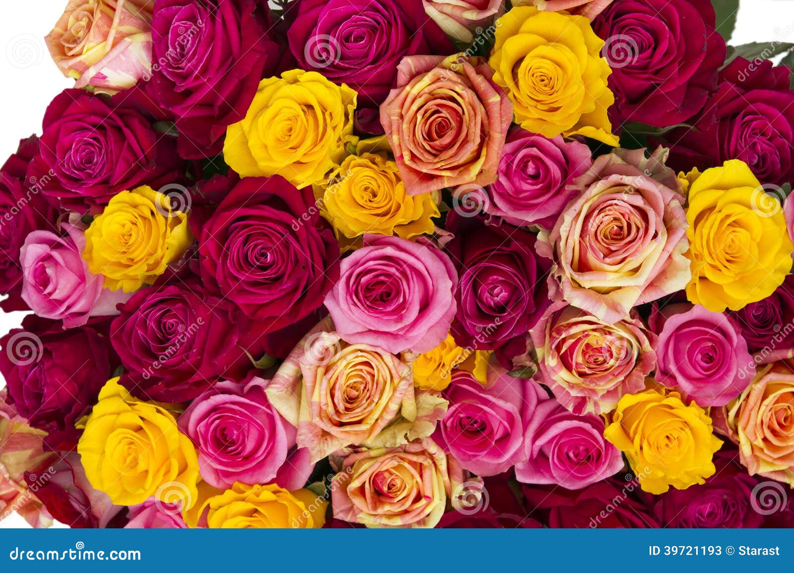 765 Mehrfarbige Rosen Fotos - Kostenlose und Royalty-Free Stock-Fotos ...