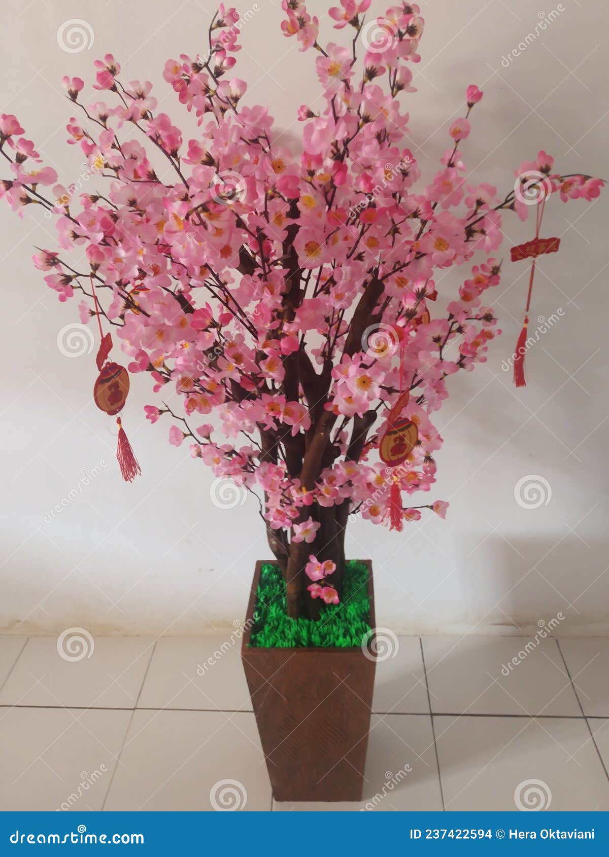 Meihwa tree stock photo. Image of purple, spring, centrepiece - 237422594