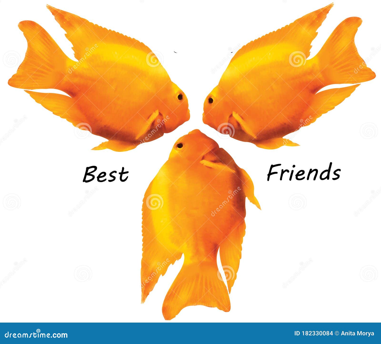 Meilleur Ami D'or Trois Poissons Mignon Illustration Stock ...